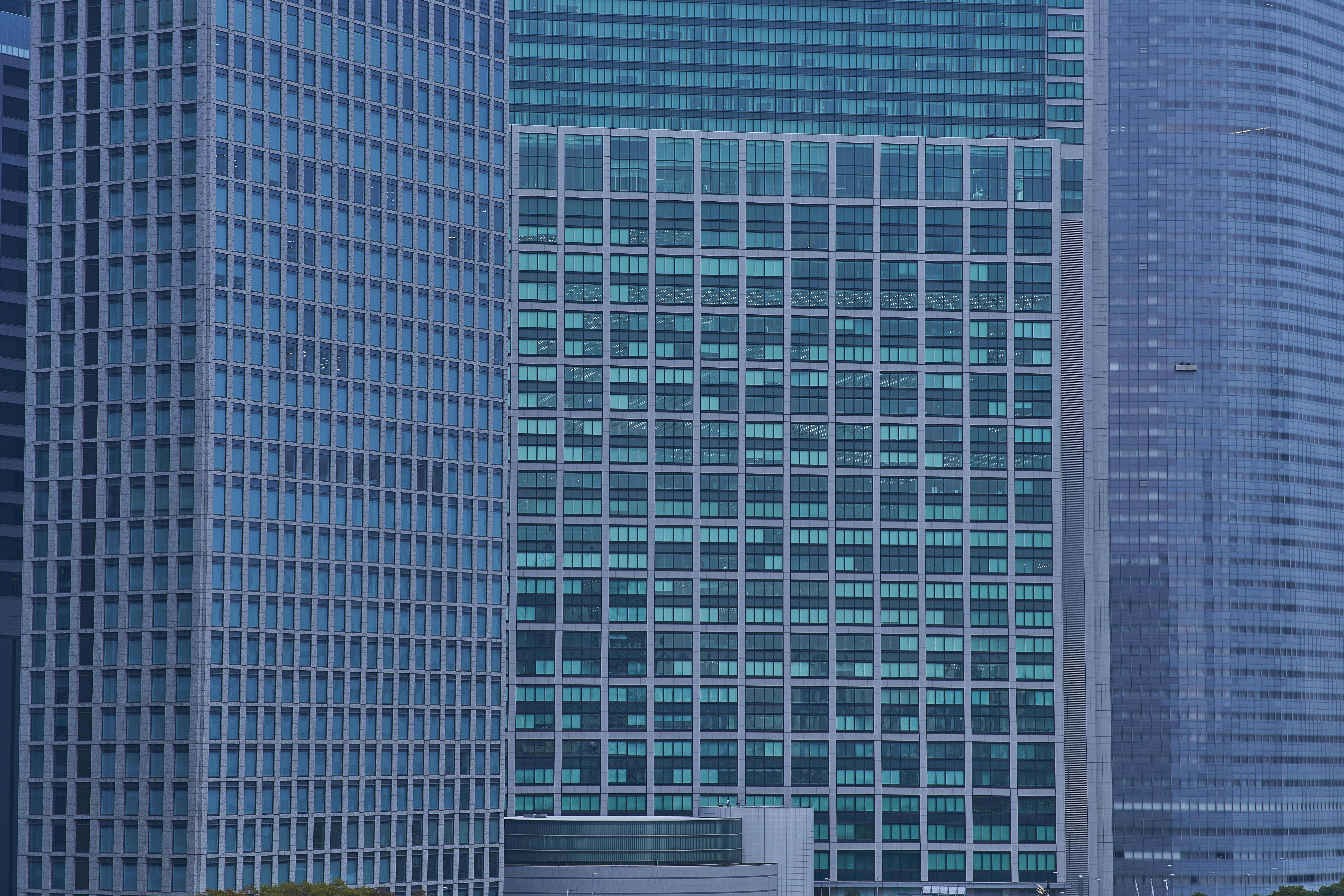 Mirror-Grid Skyscrapers: A Portrait of Urban Facades