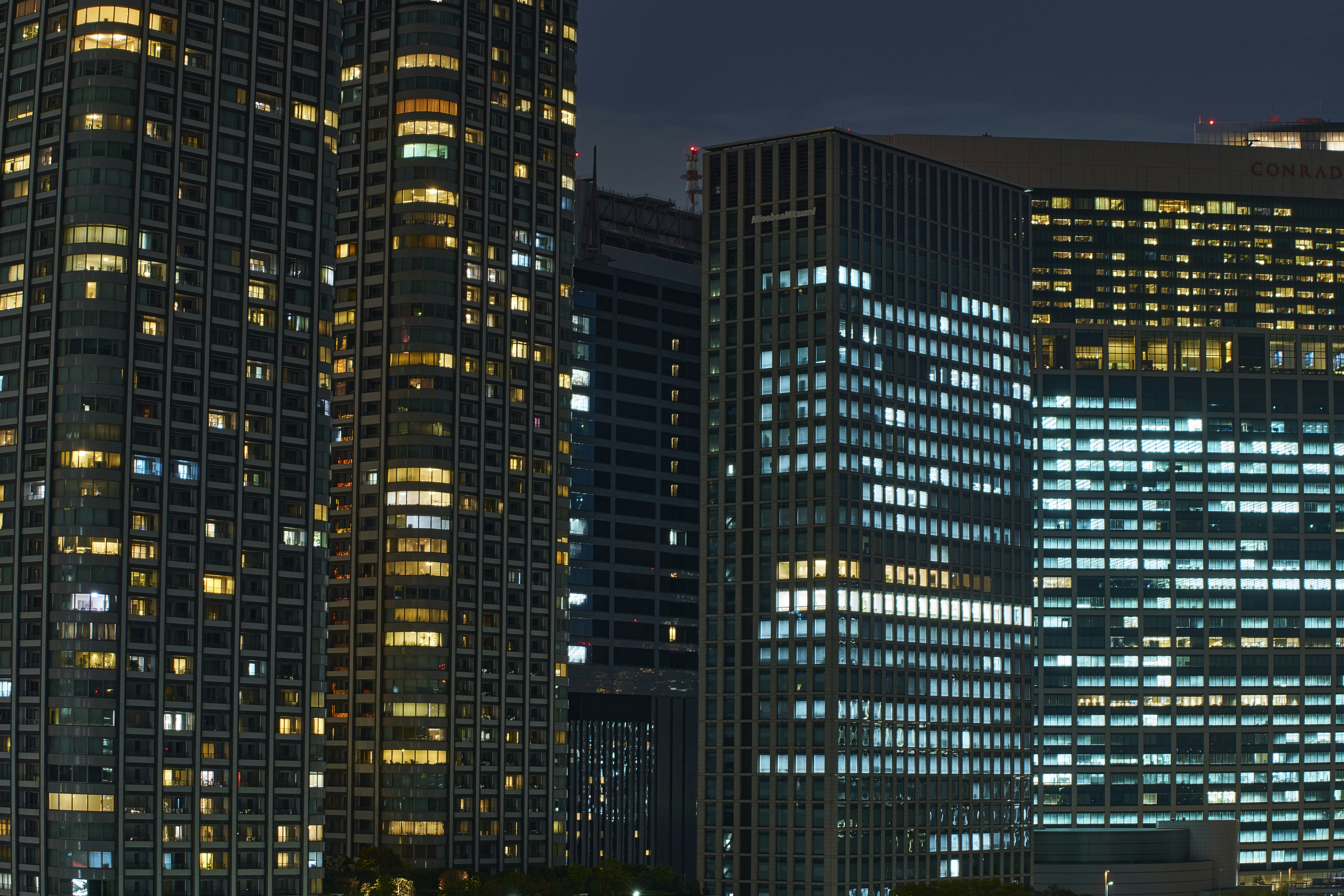 Neon Canopy Over a Silent Skyline