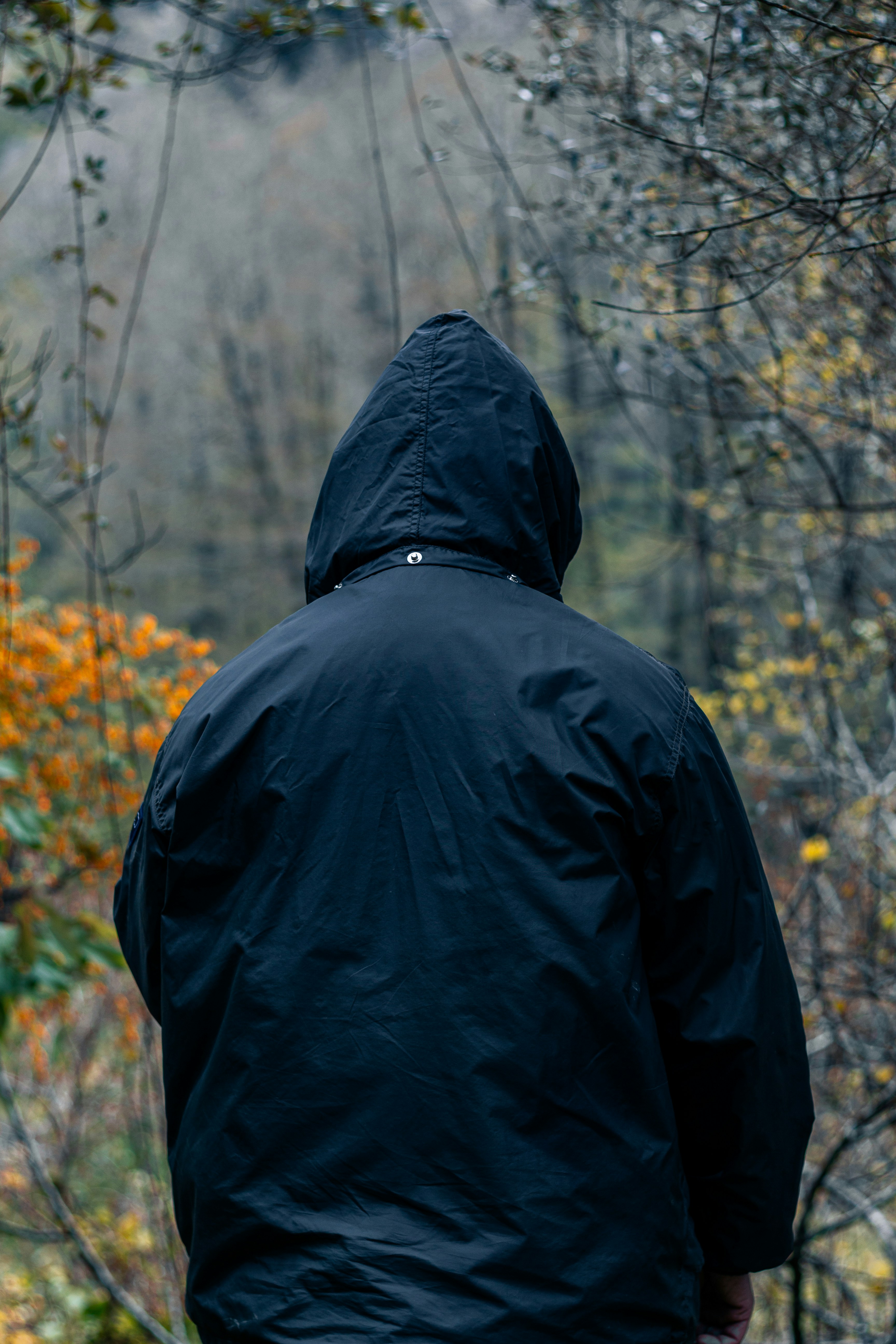 A lone traveler in a misty wood, hood up and colors fading into autumn