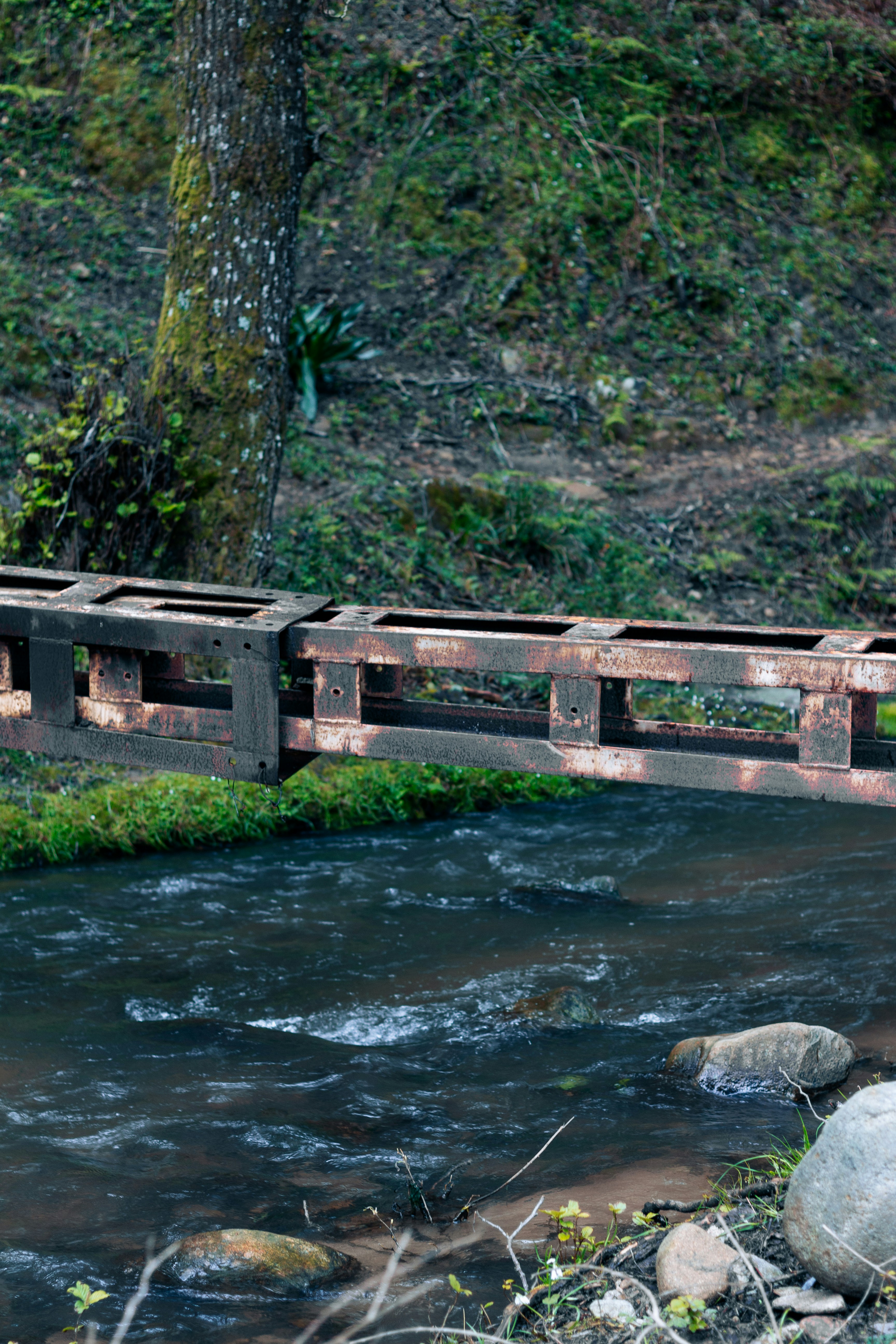 Rust and River Crossing: A Quiet Moment Under the Bridge