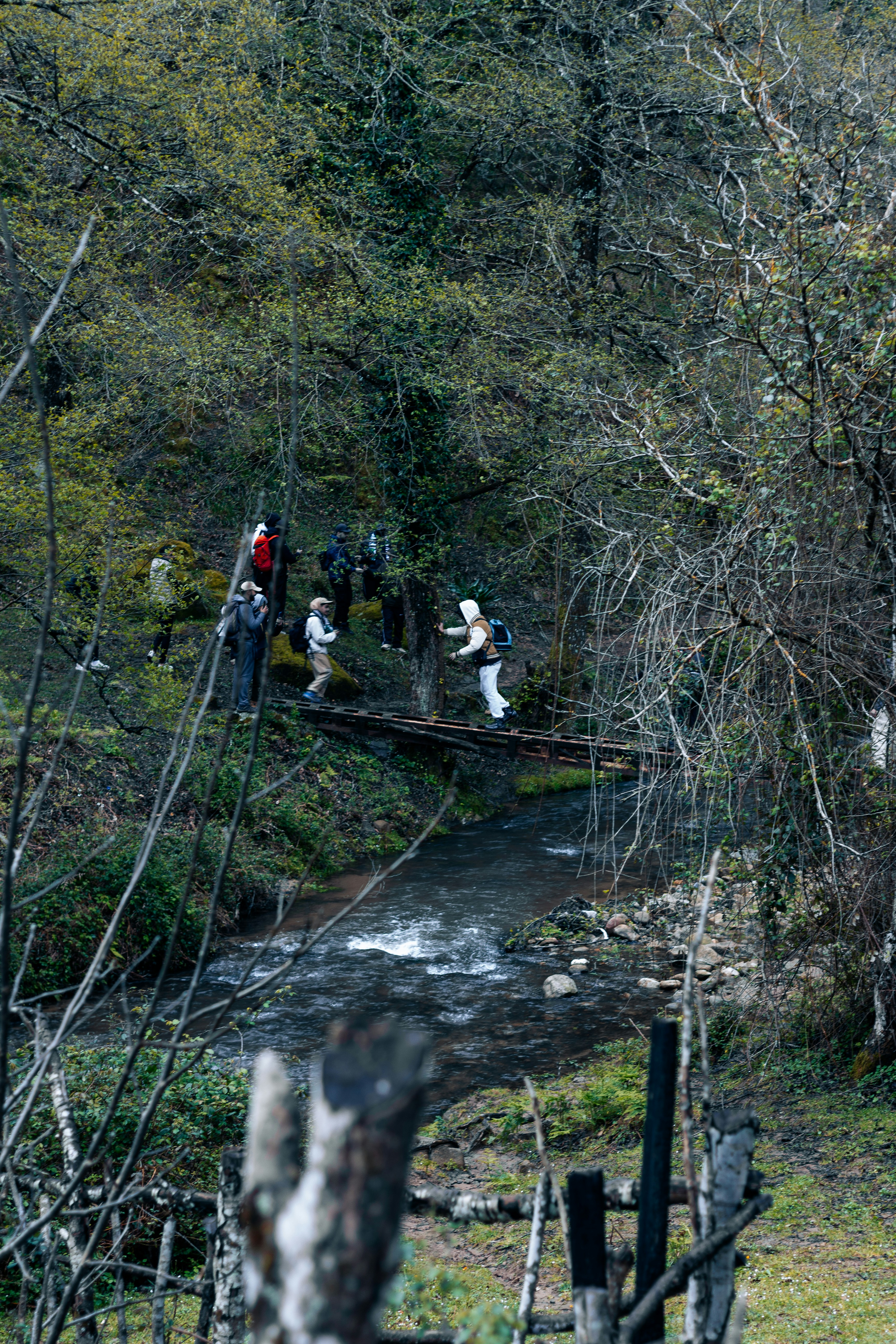 Bridge Crossing: A Small Group Navigates a Narrow Creek in Autumn Woods
