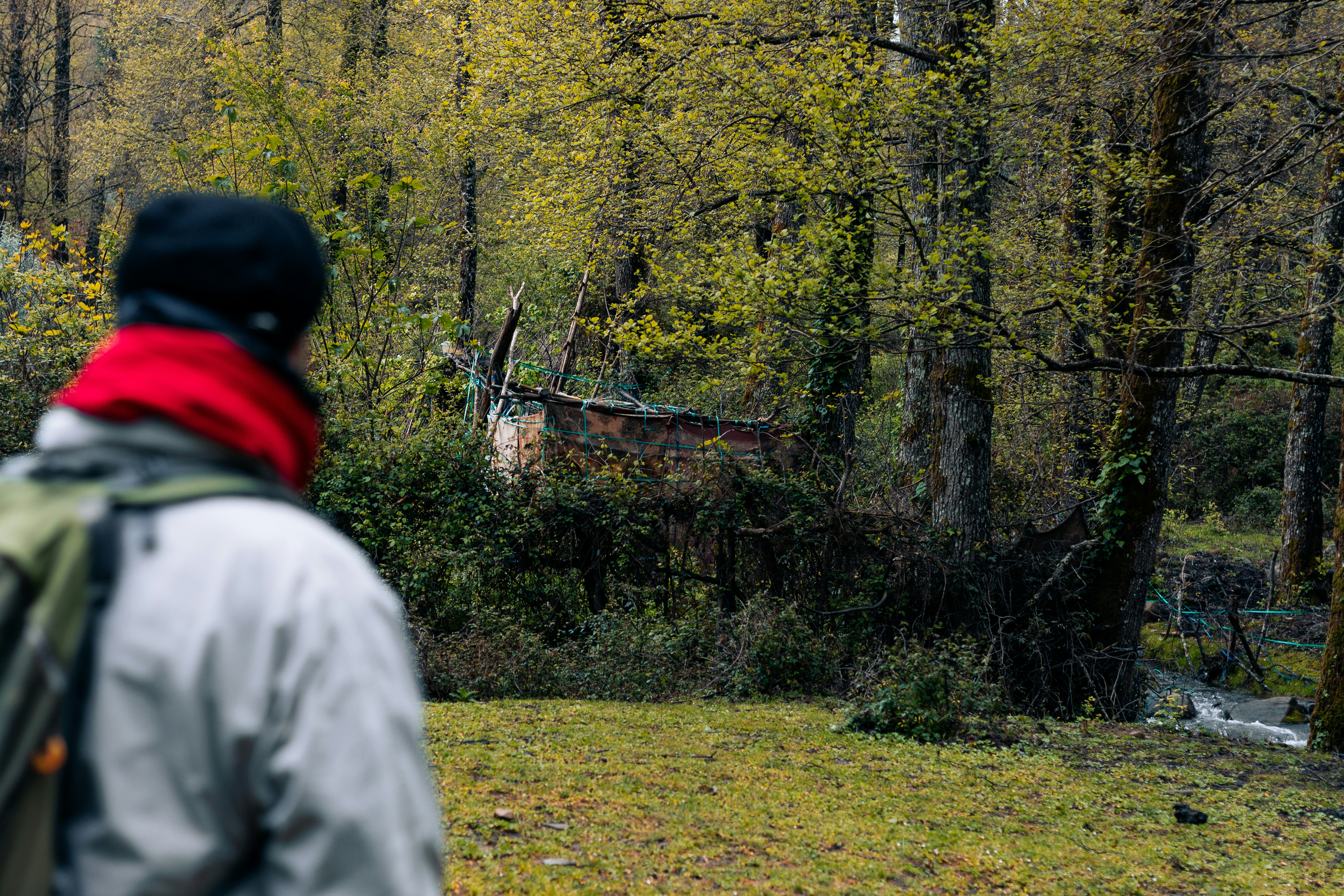 A Quiet Return: Backpacker Faces the Edge of the Autumn Clearing