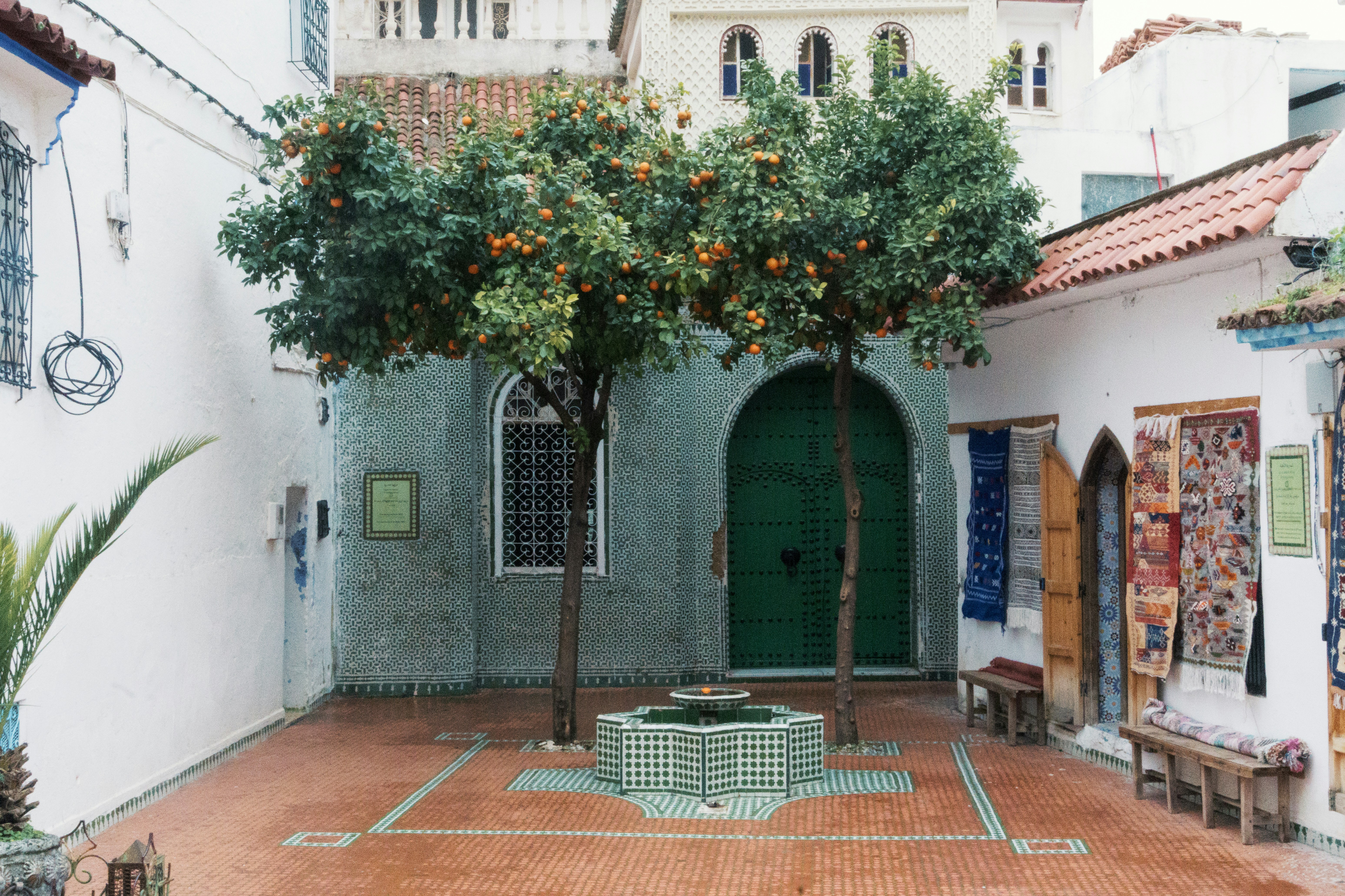 Courtyard Oasis: Orange Trees Framing a Mosaic Fountain