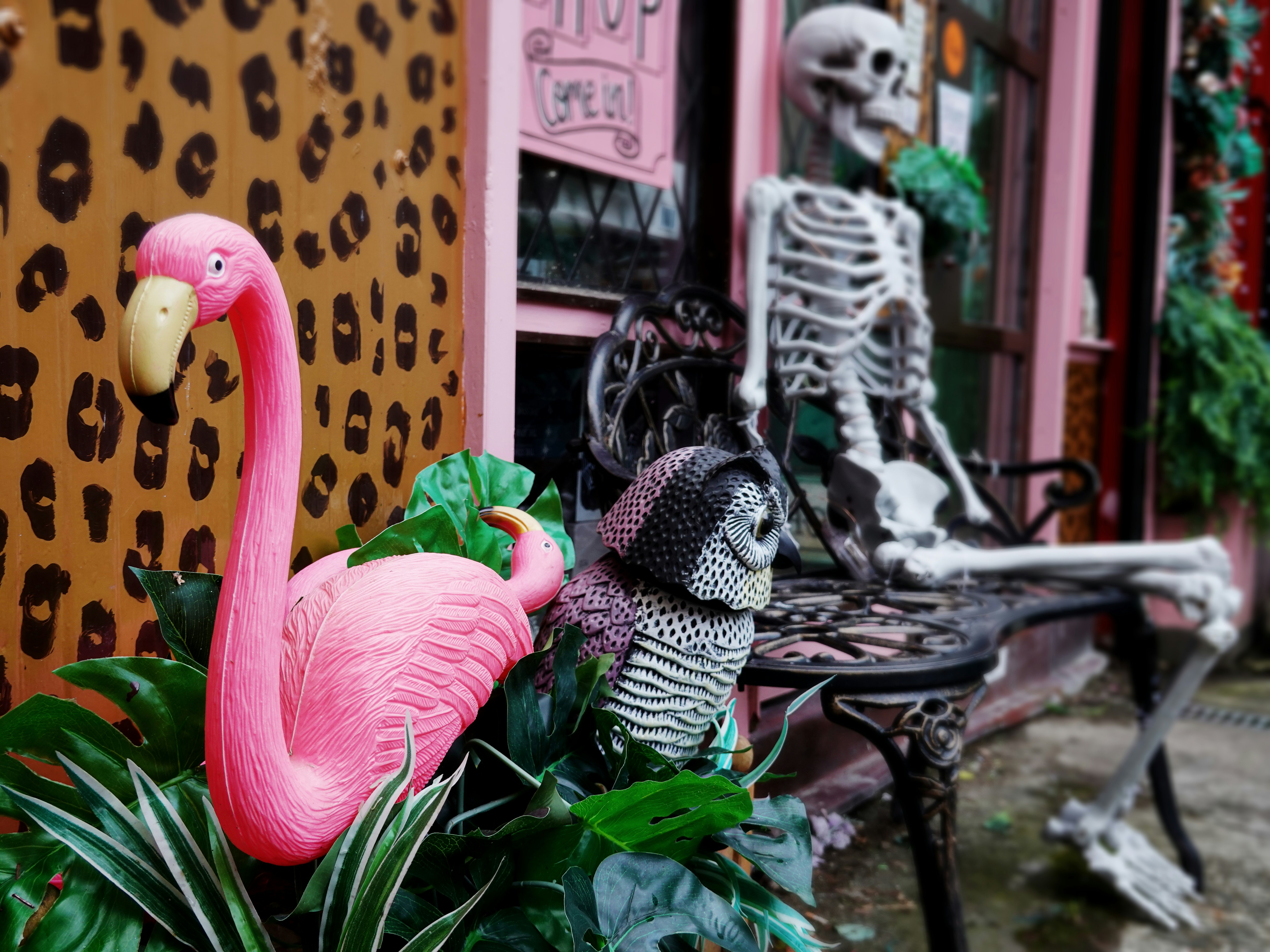 Pink Flamingo Among Idling Skeletons