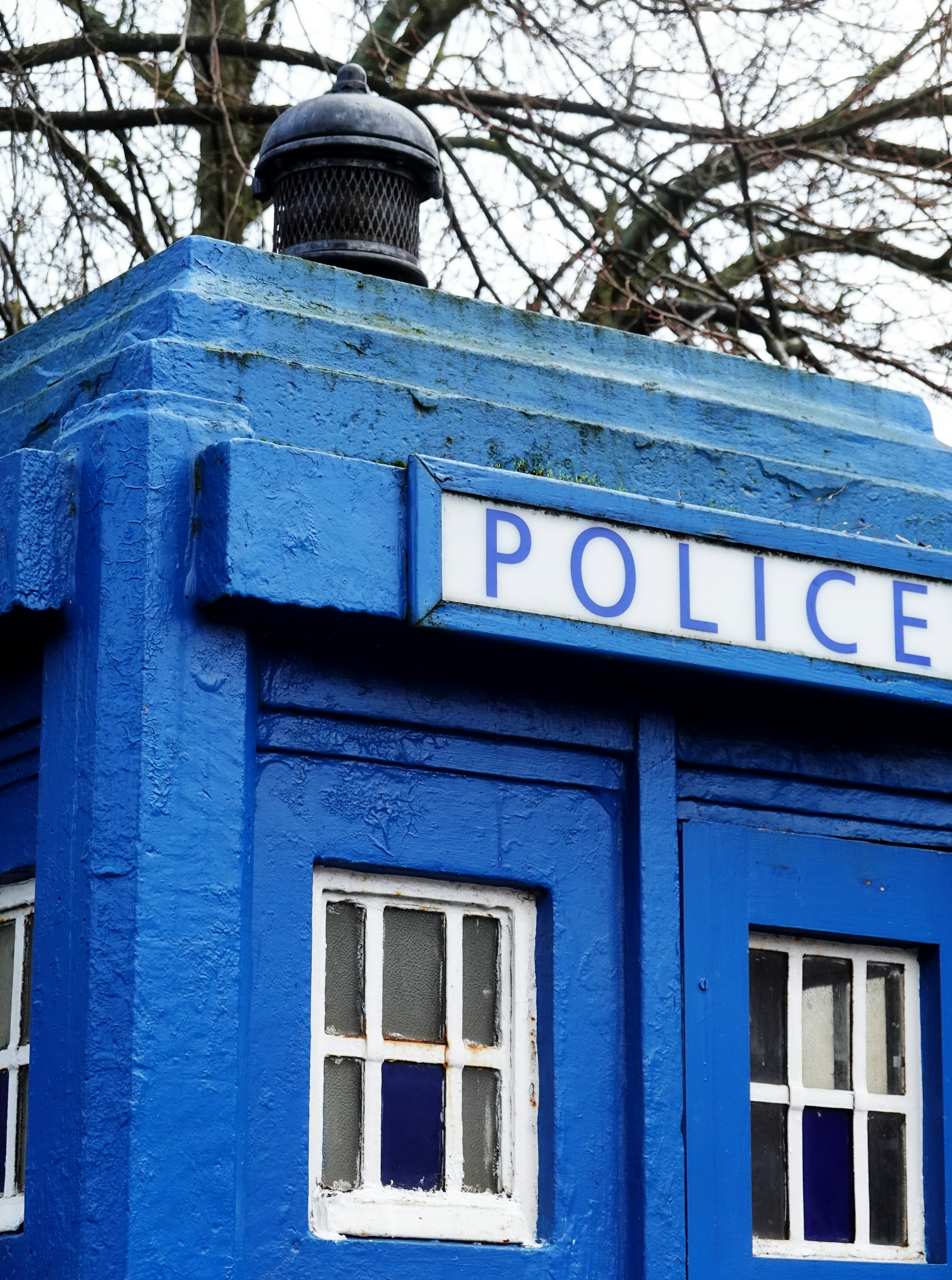 Azure Block: The Blue Police Kiosk against Winter Bare Branches