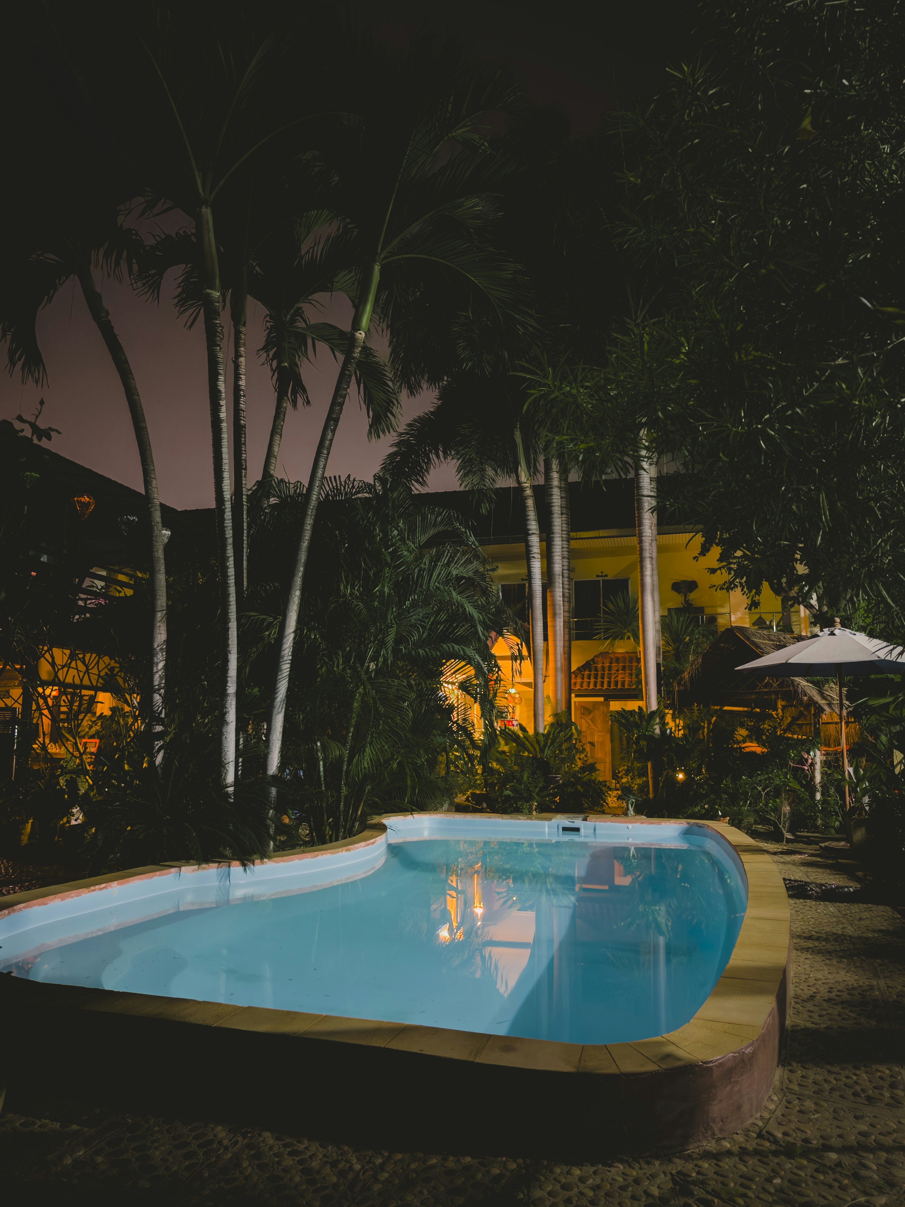 Night at the pool: warm lights, tropical silhouettes, and a tranquil edge