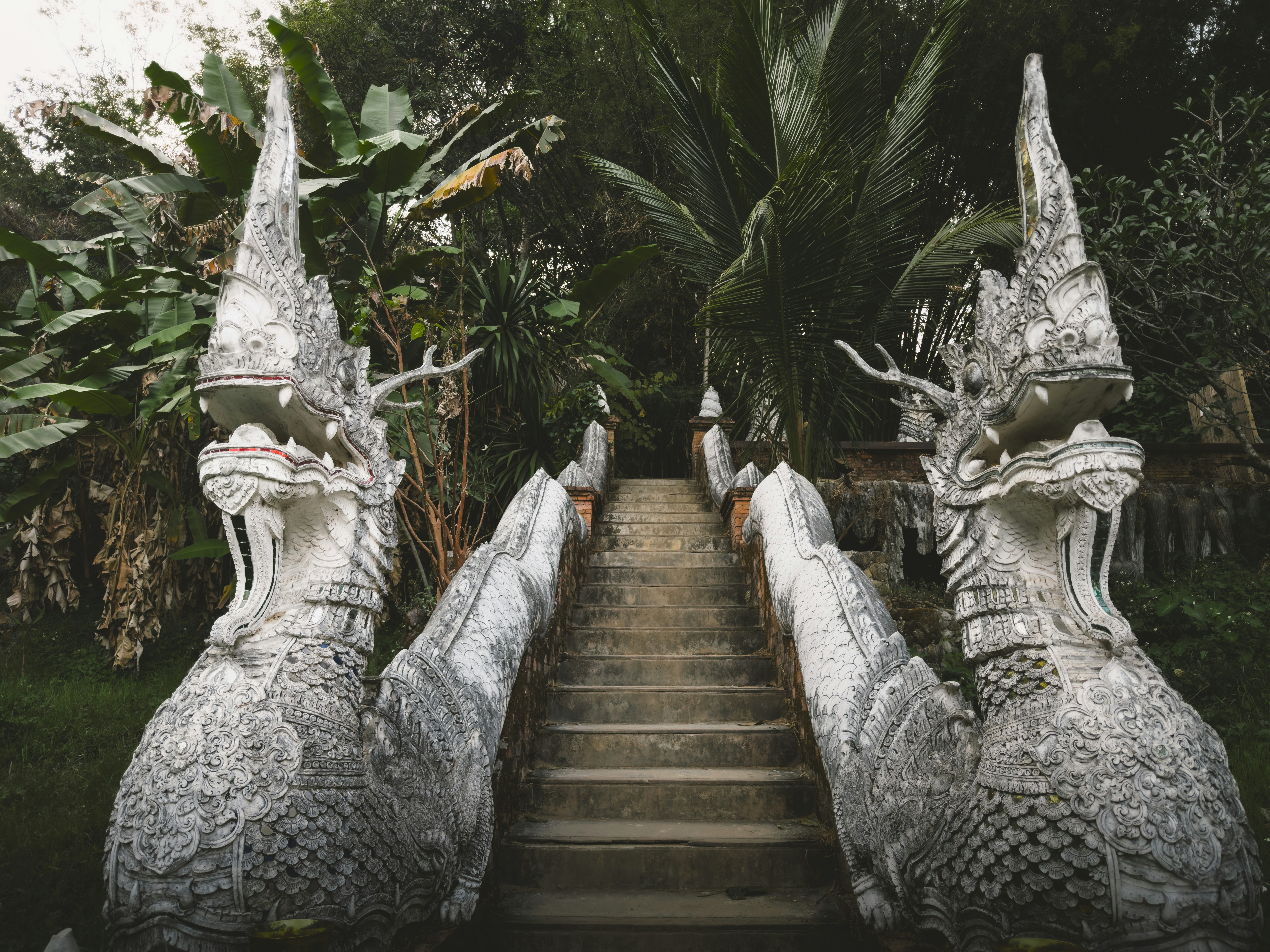 Guardian Steps: Stone Dragons Framing a Central Staircase