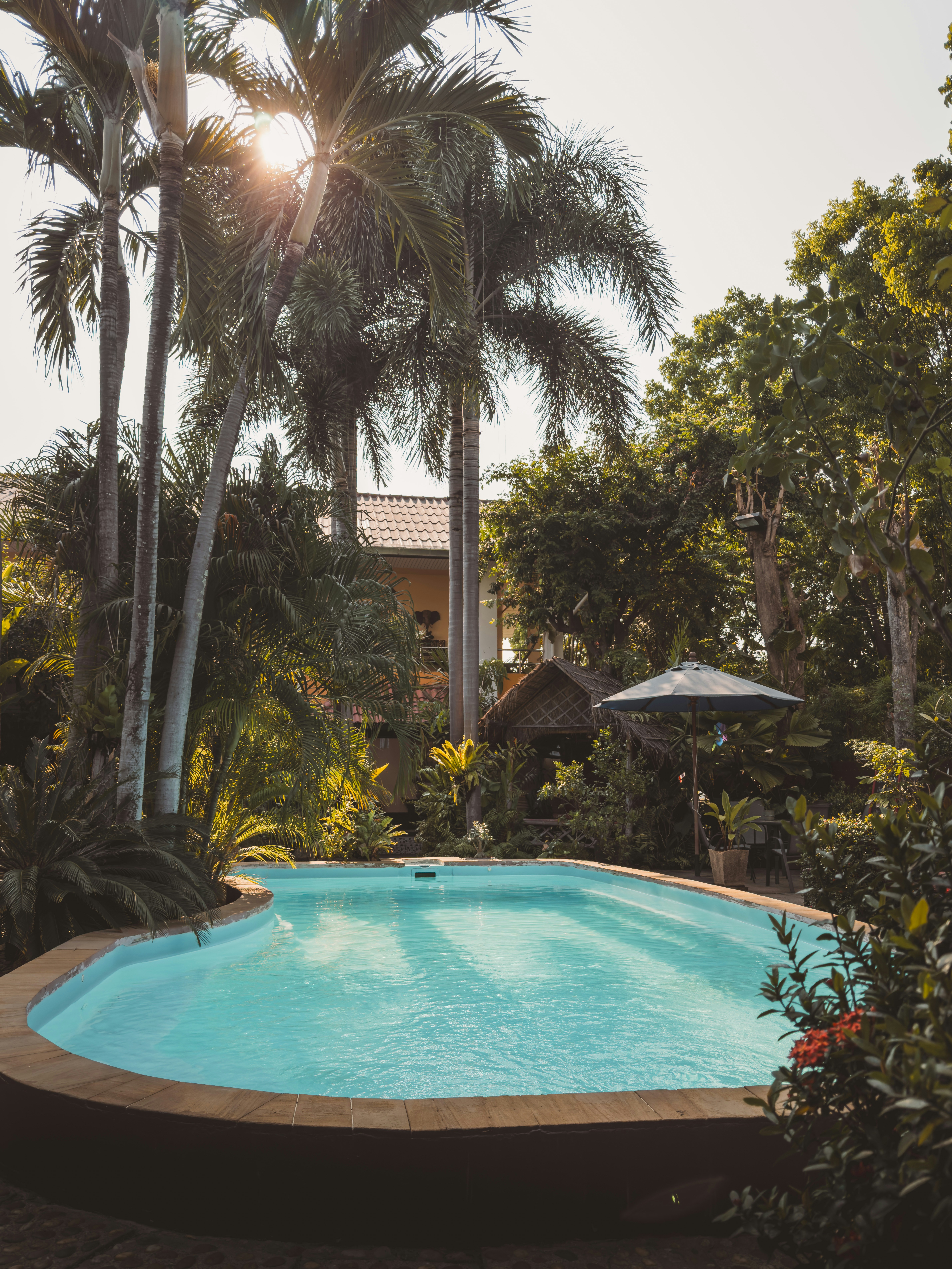 Sunlit Oasis: Poolside Retreat Framed by Tropical Foliage