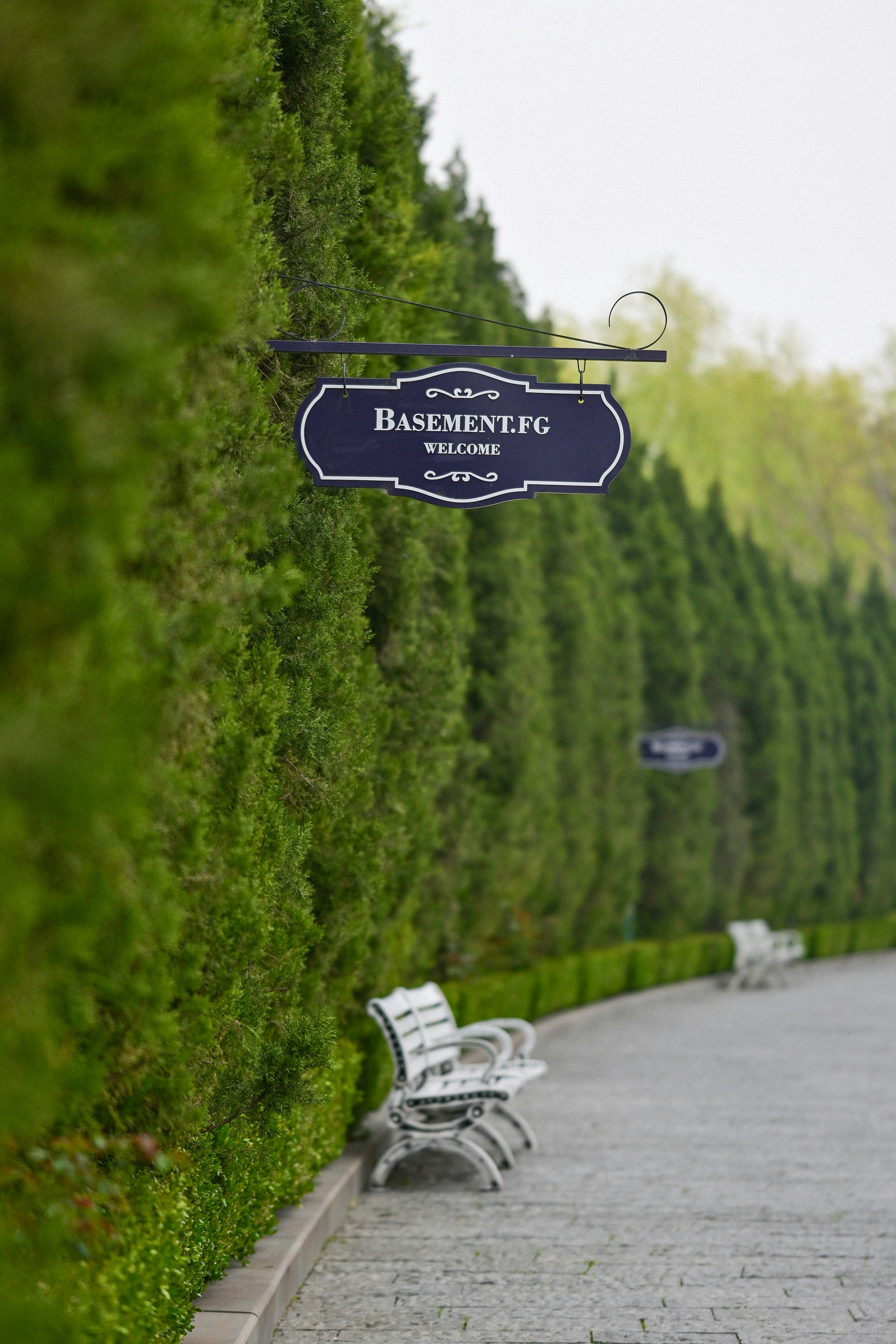 Hanging Sign over a Tree-Lined Path