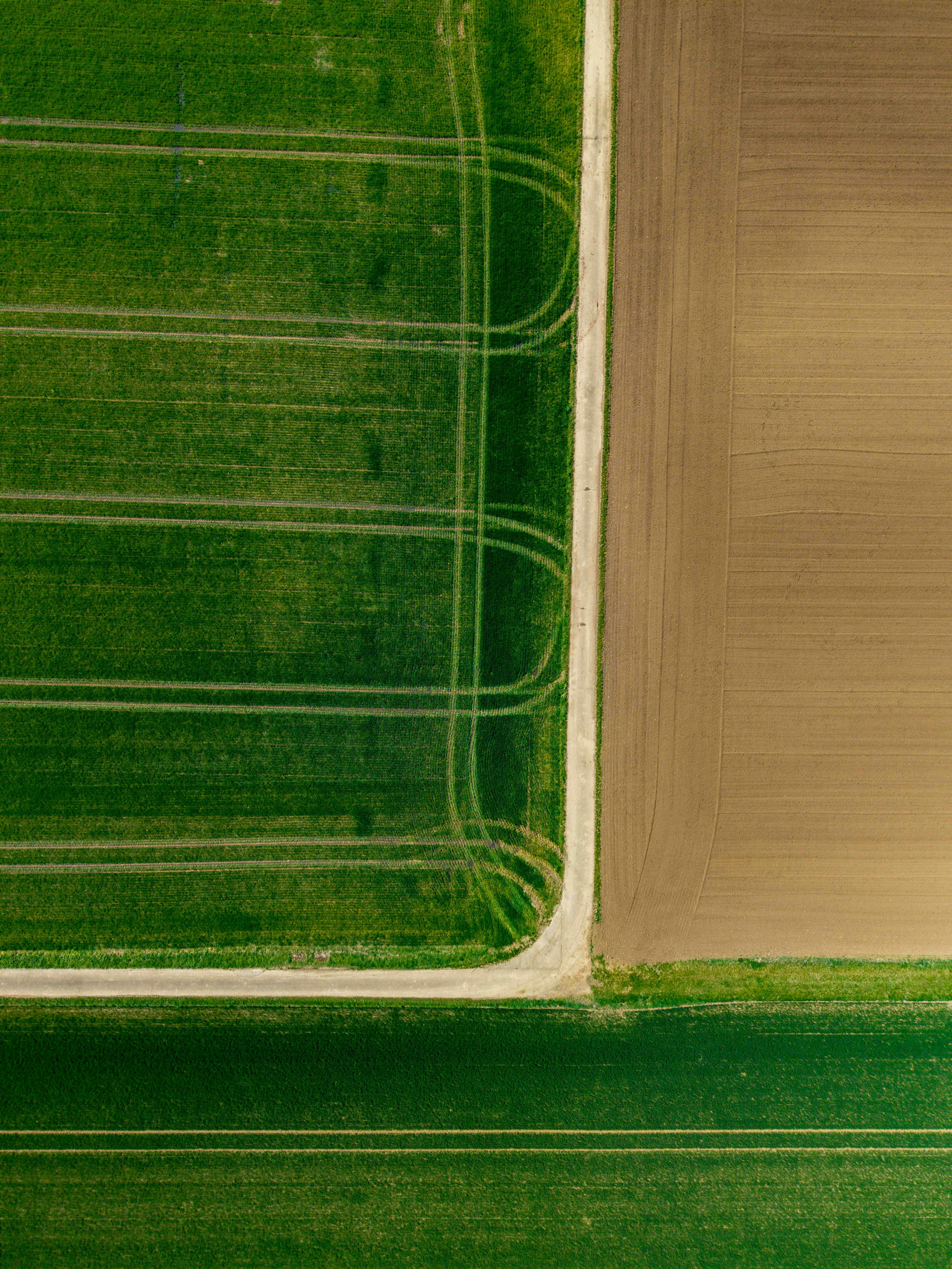 Aerial Gridwork: Field Edges and Parcel Lines Converge at the Farm Boundary