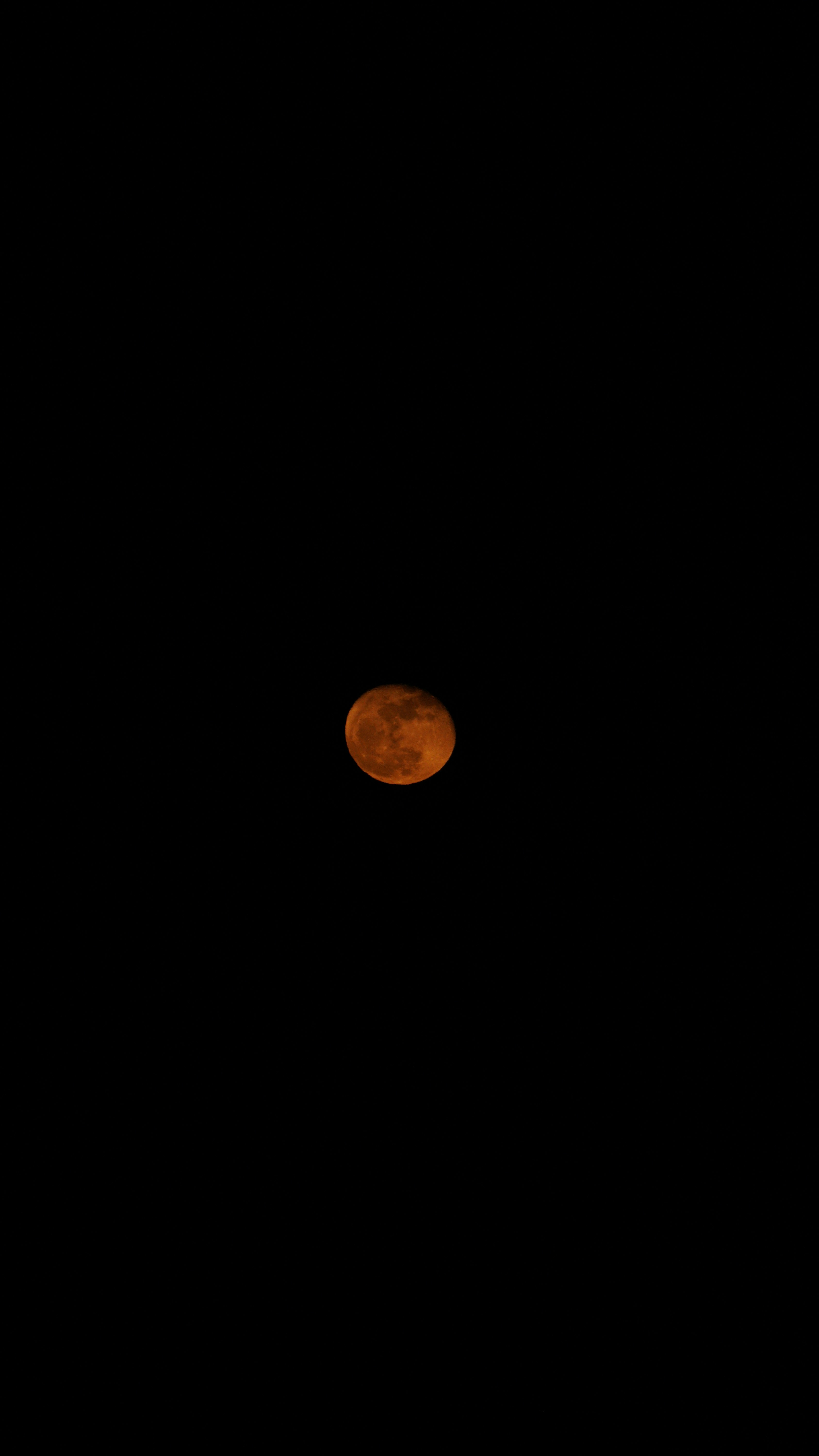 Crimson Crescent: A Lunar Eclipse in the Night Sky