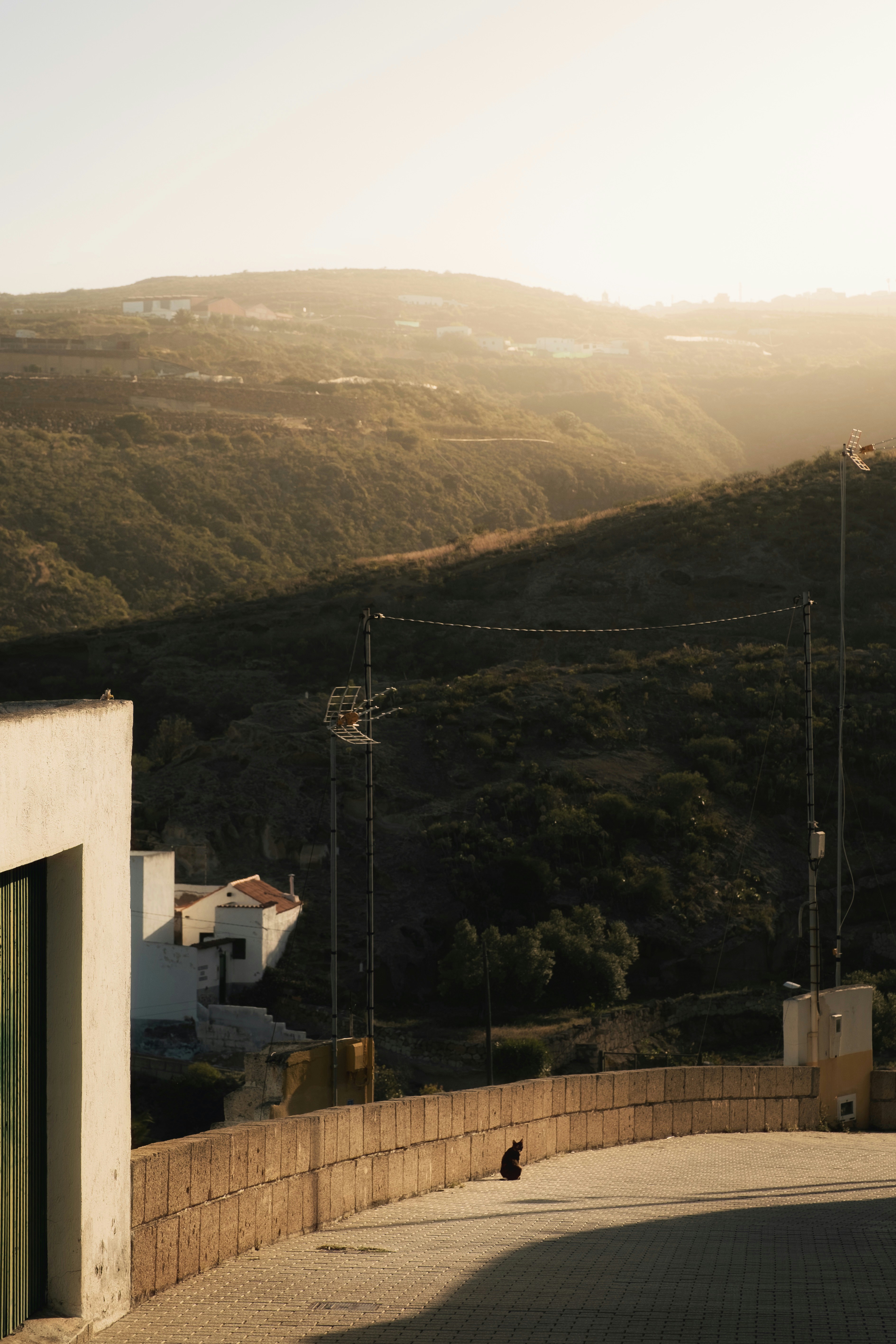 Sunlit hillside street with distant houses under a warm sky