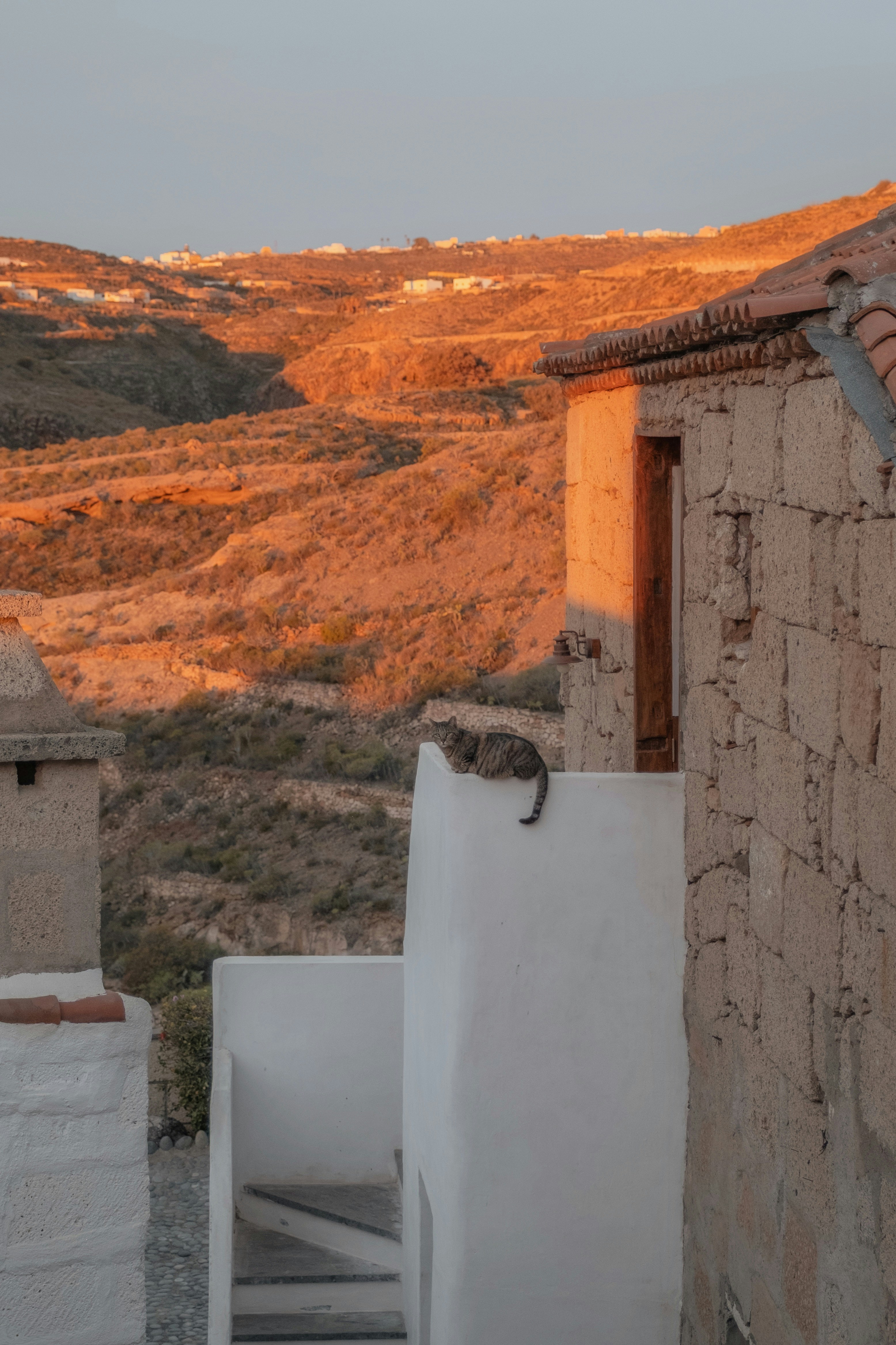 Sunset Over Whitewashed Steps: A Cat on the Ridge
