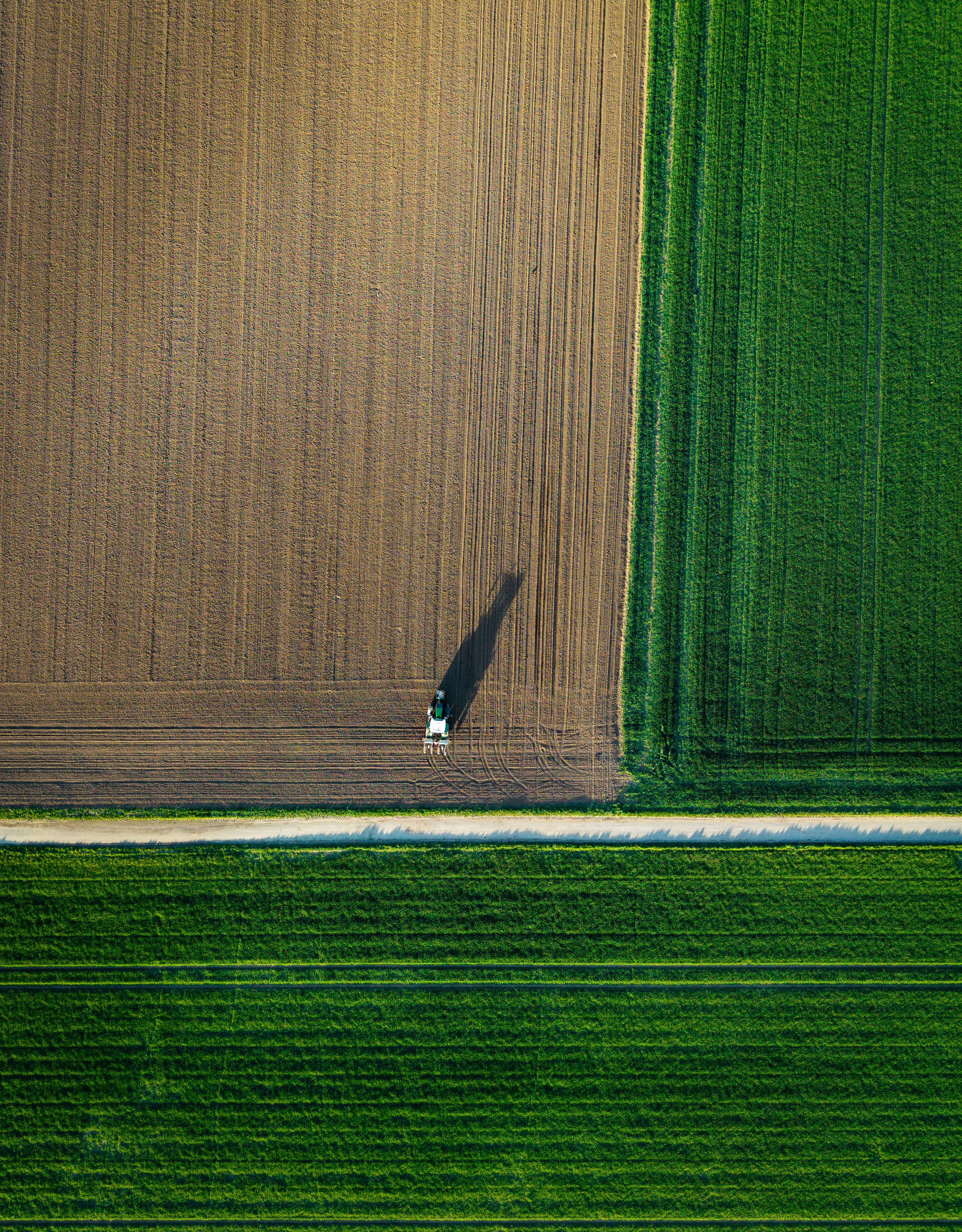 A Harvester’s Shadow: Field Geometry Under a Long Crop Shadow