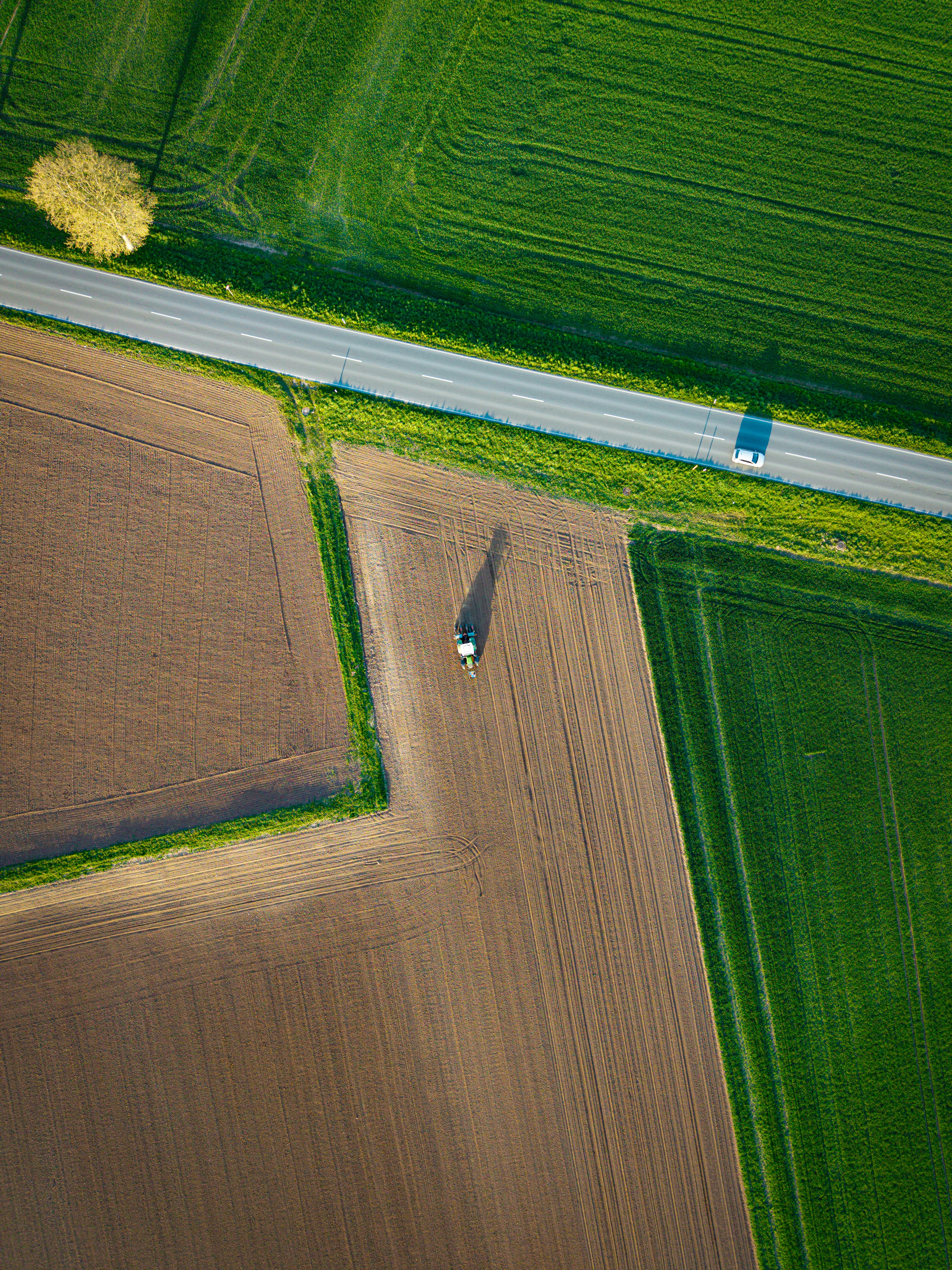 Aerial Harvest: Field Patterns and a Narrow Road Slice