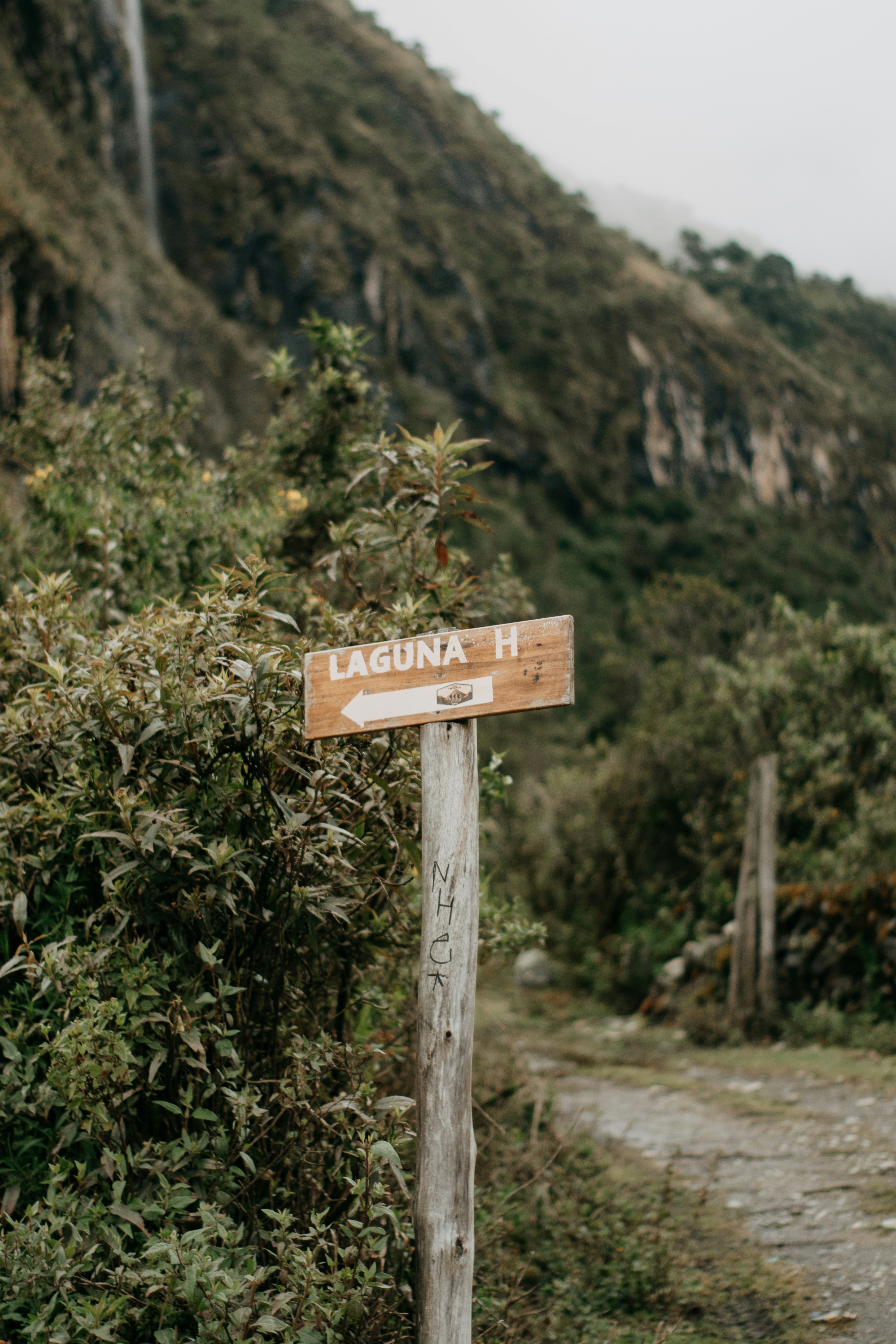 Laguna Trail Marker Amid Shrubs and Mist