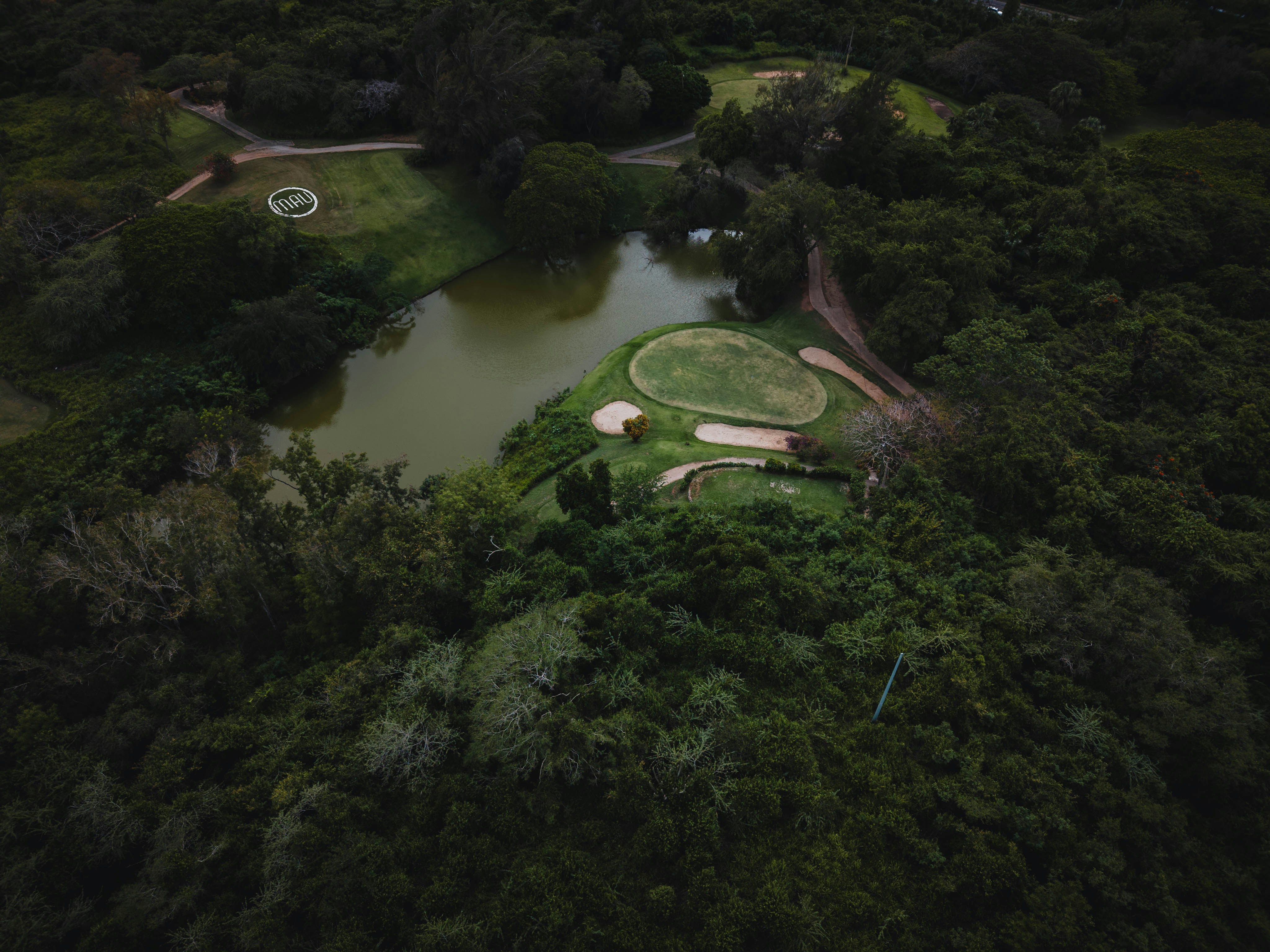 Lakeside Meadow: A Circular Green Amid Dense Canopy