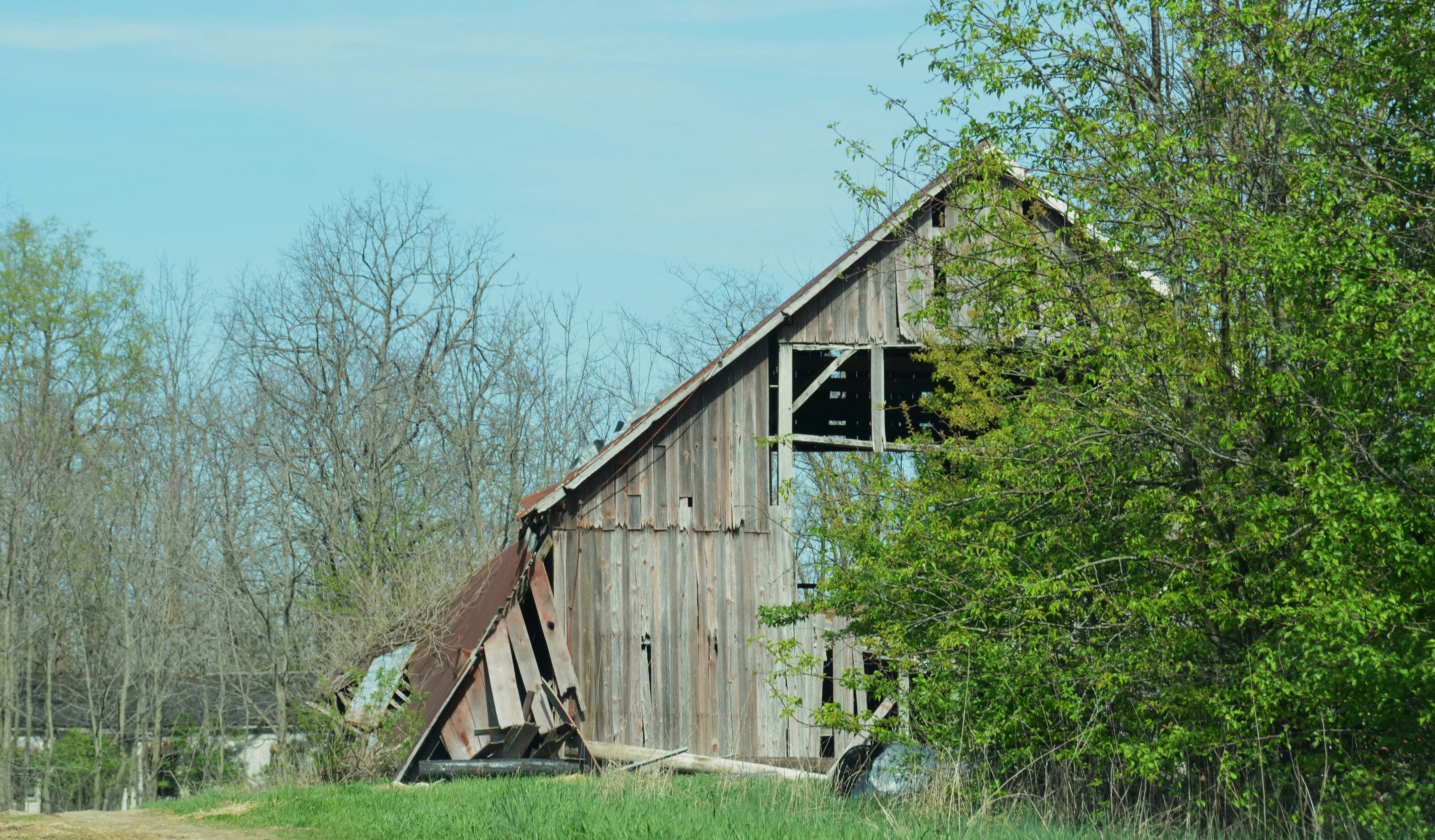 Abandoned Barn Reclaimed by Spring