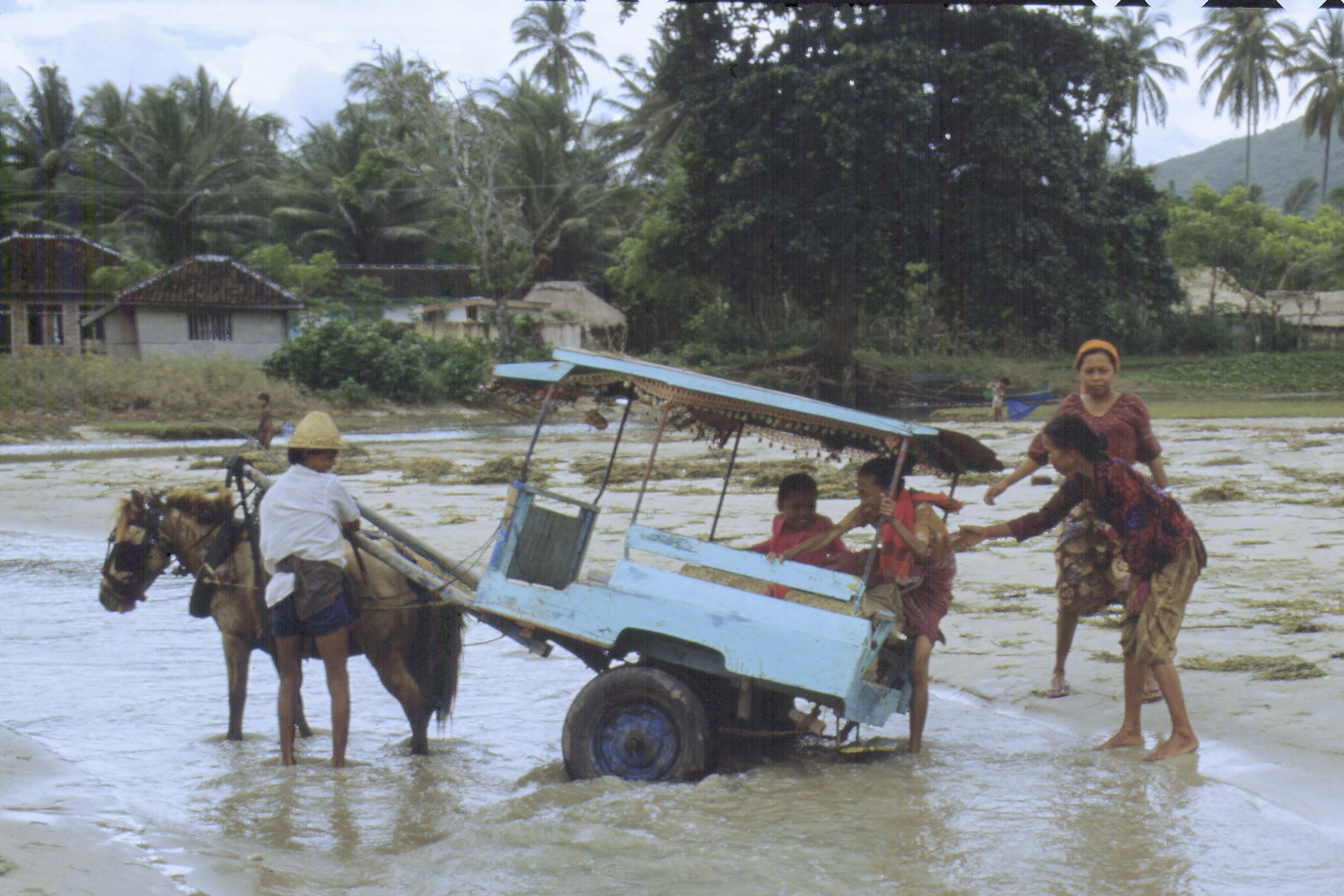 Palm-fringed river crossing: a family guides a toppled blue cart through shallow tides
