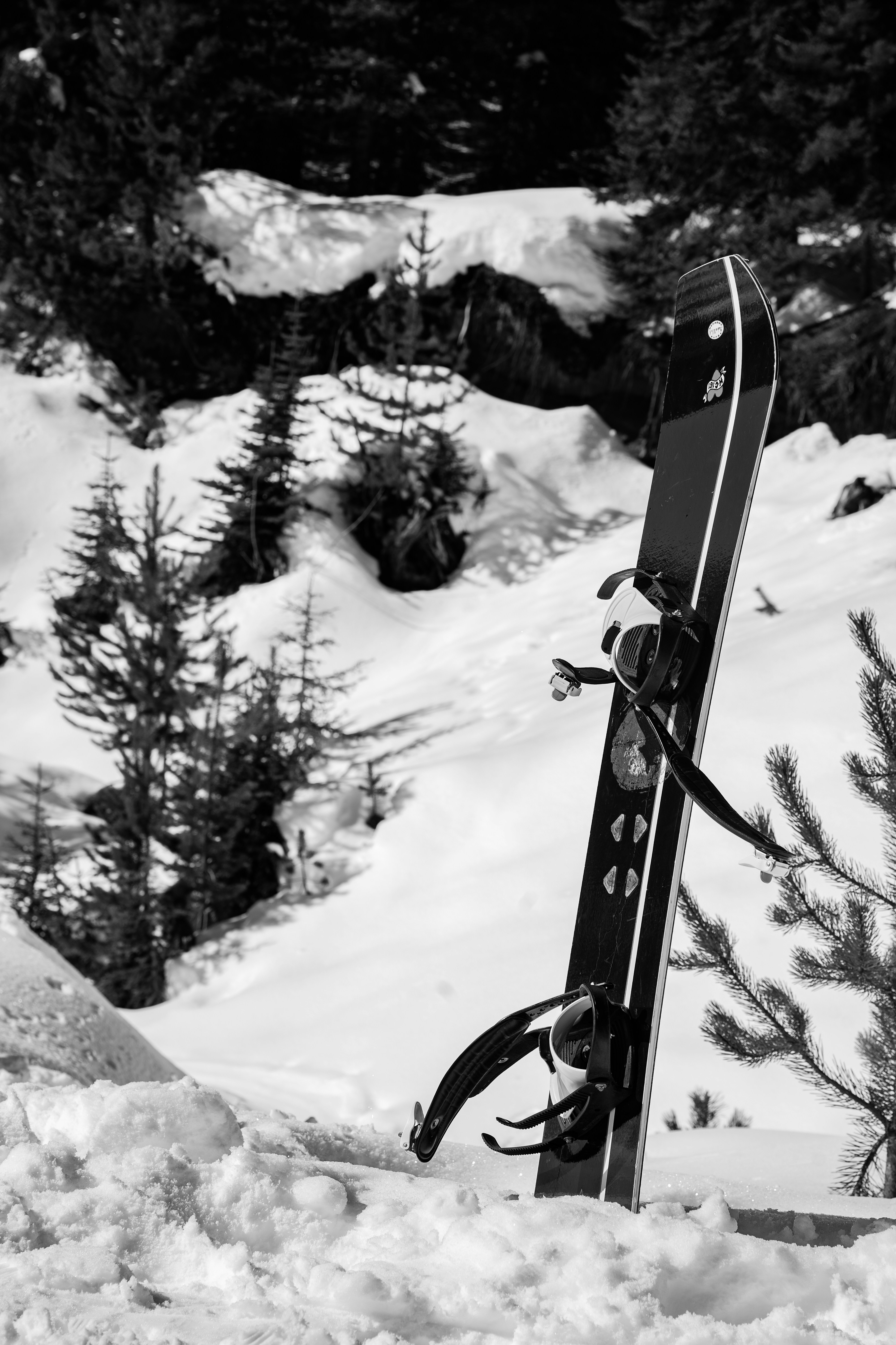 Snowbound Board: A Snowboard Stands Guard in Quiet Alpine Snow
