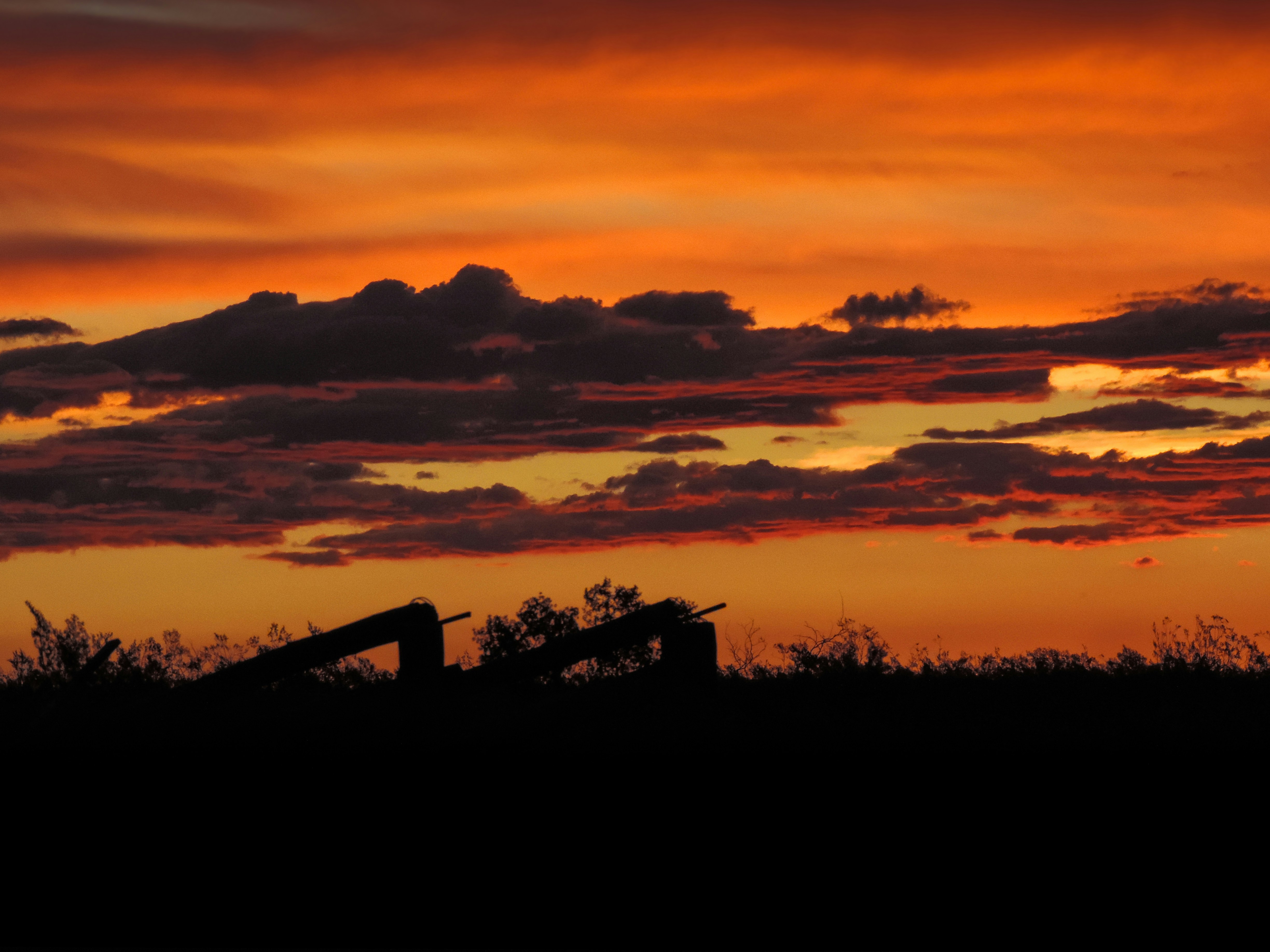Silhouette at Dusk: Ember Horizon over a Quiet Fence
