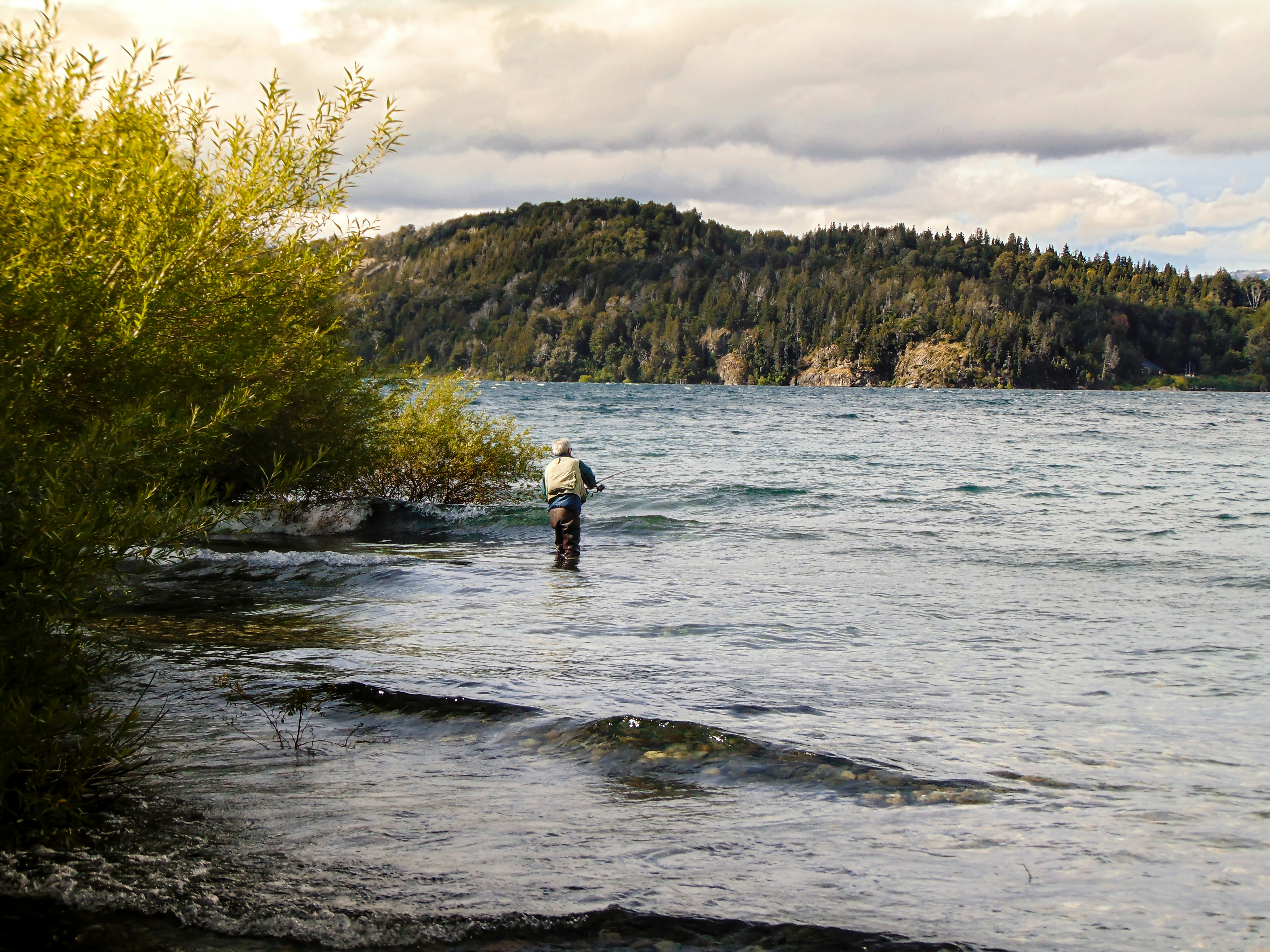 Lone Angler at the Shoreline: Quiet Meet of Water and Woods