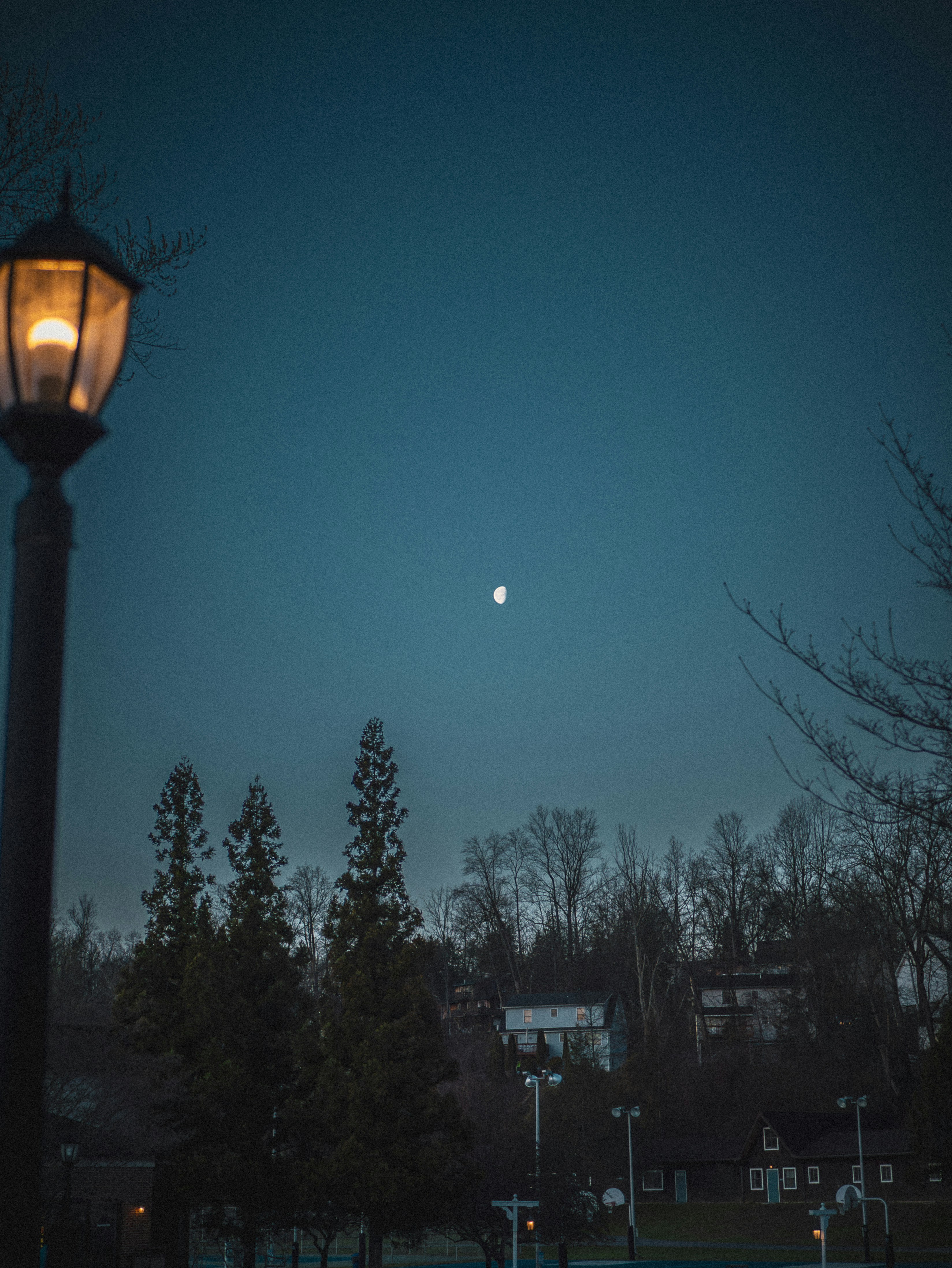 Moonlit Park Lanterns: Quiet Dusk over treetops