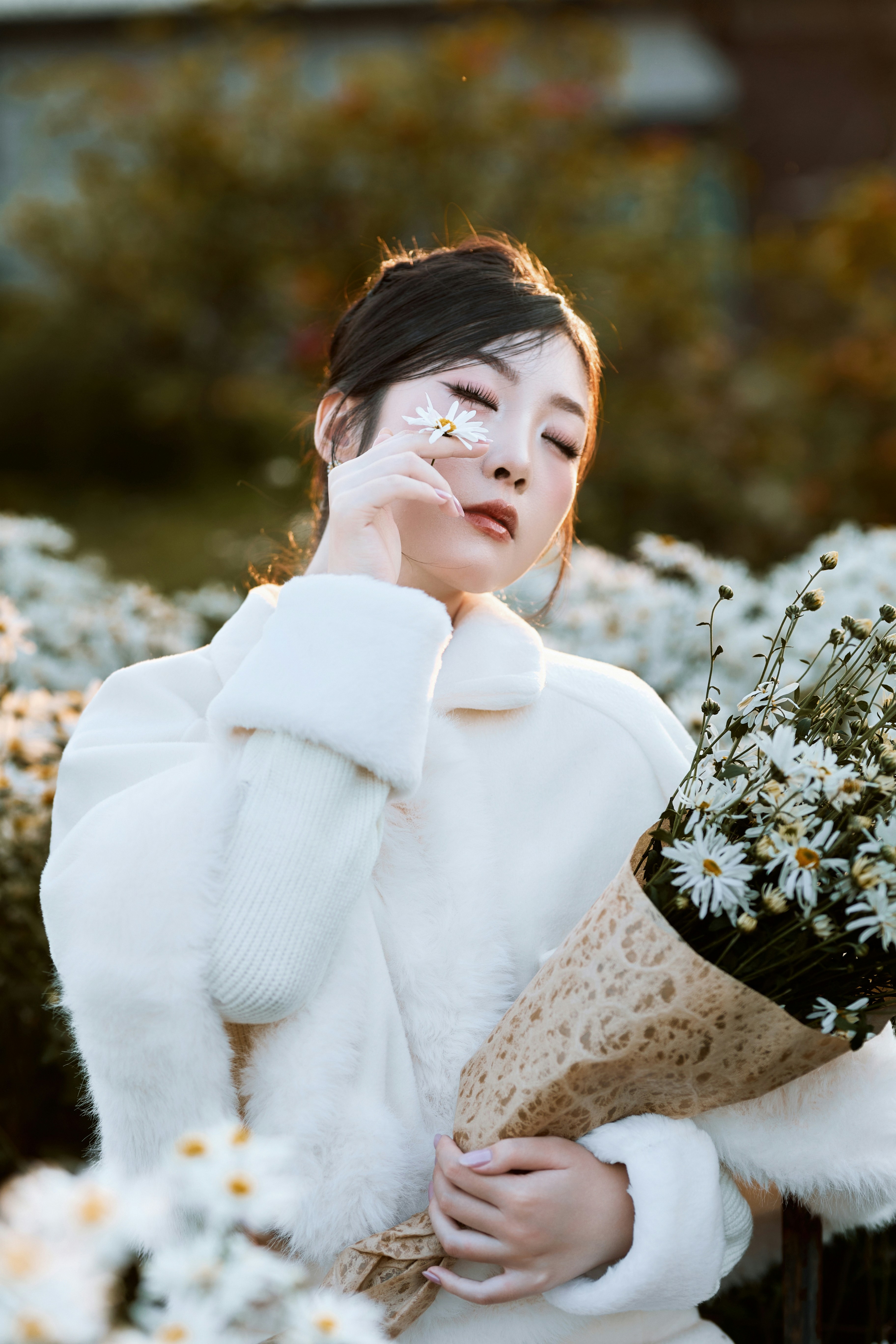Petal Quiet: A Whisper of Daisies in Soft Winter Light