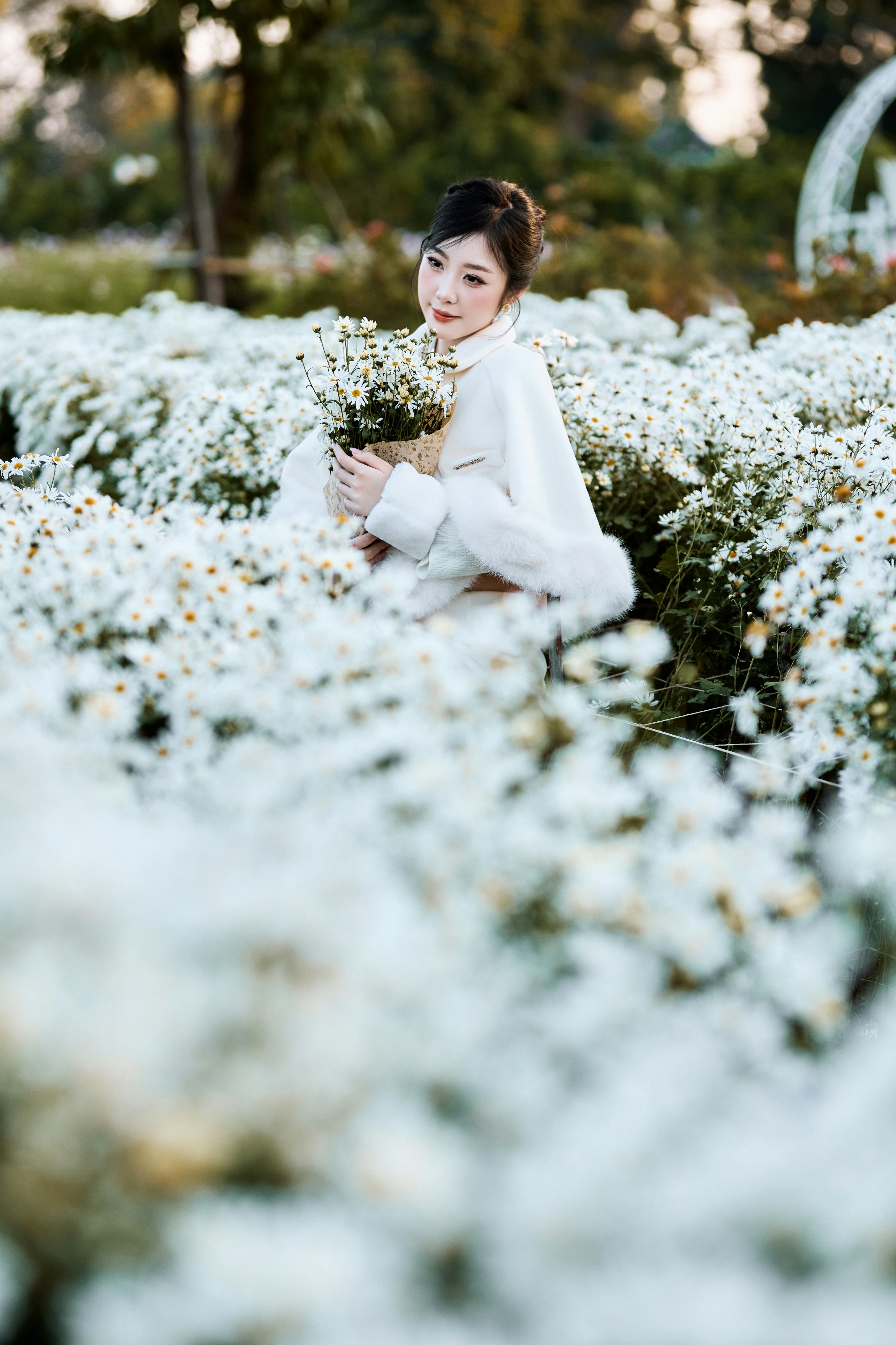 Field of White: Portrait Among Daisies