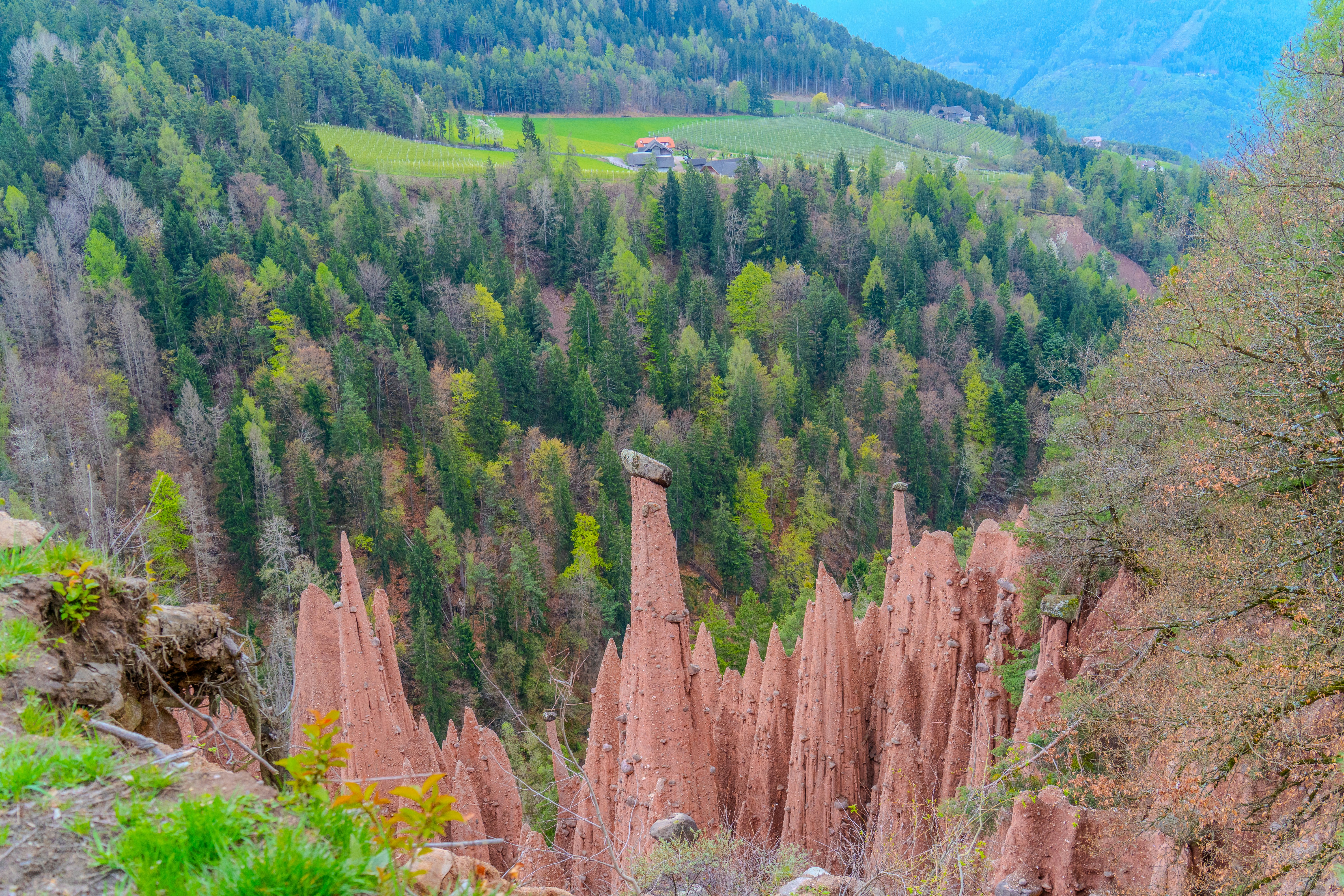 Terracotta Spires at Distant Pines