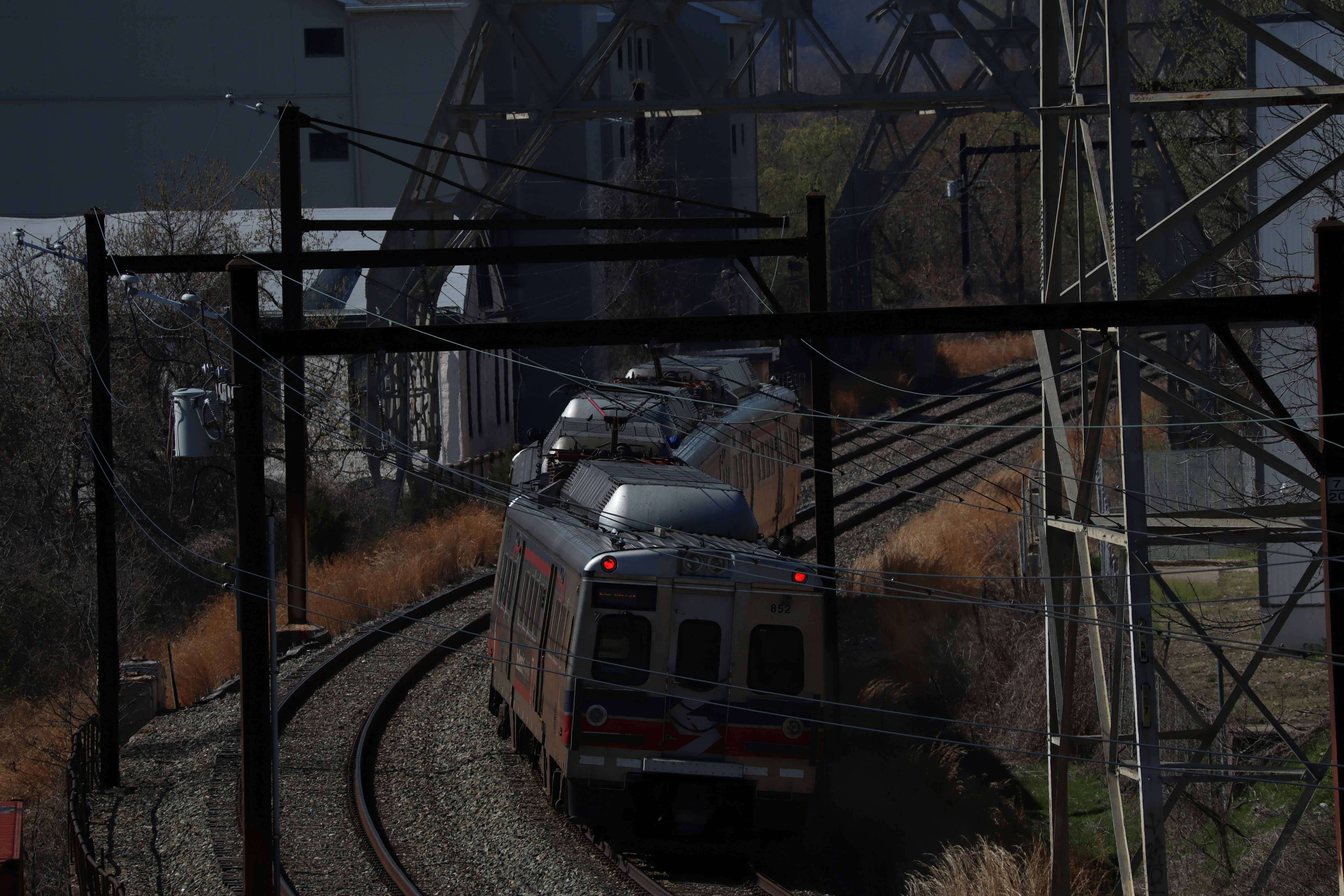 Rumbling Rails: A Diesel Express Rounds the Bend Through Hidden Grasses