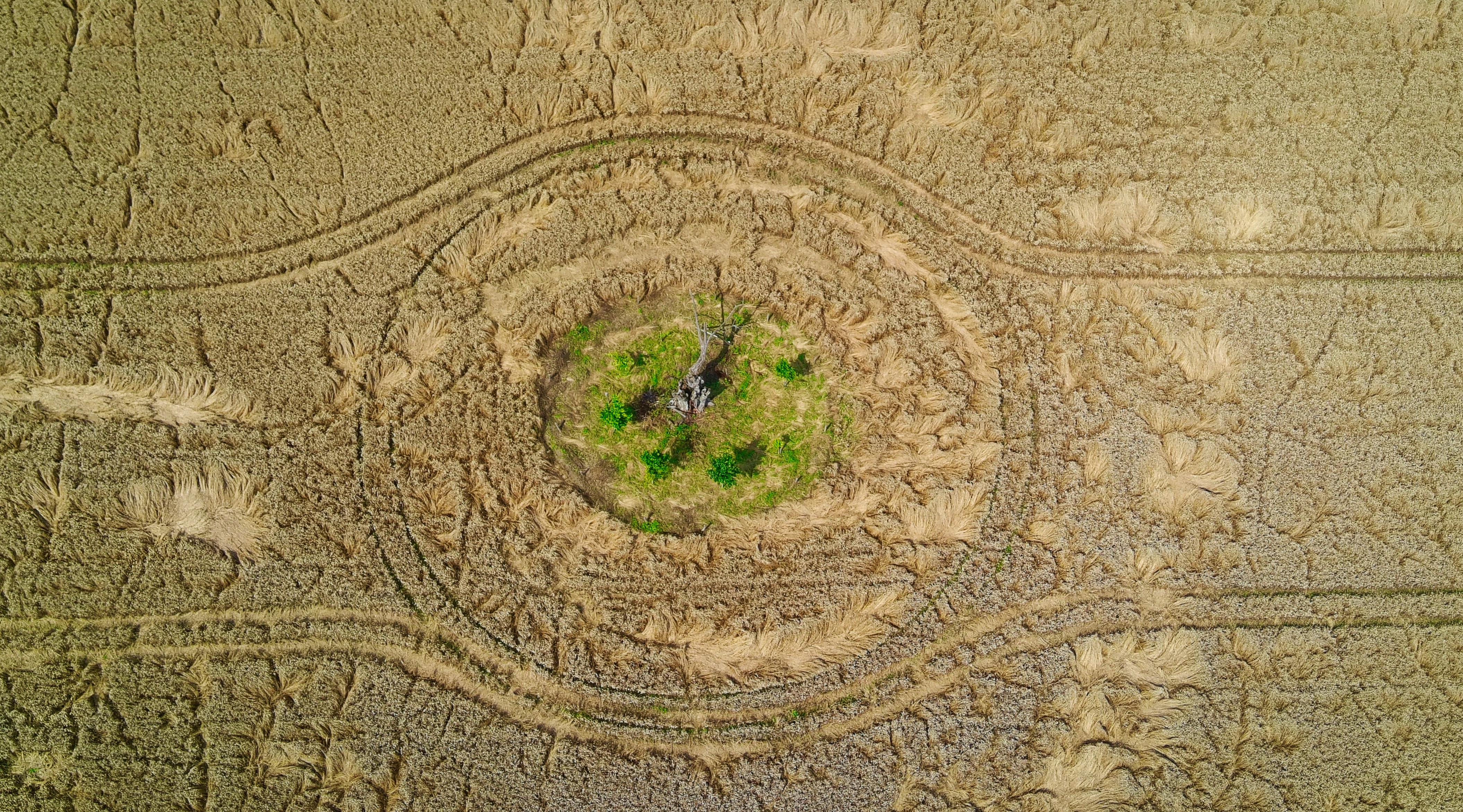Ancient Circular Terraces in Desert Ring
