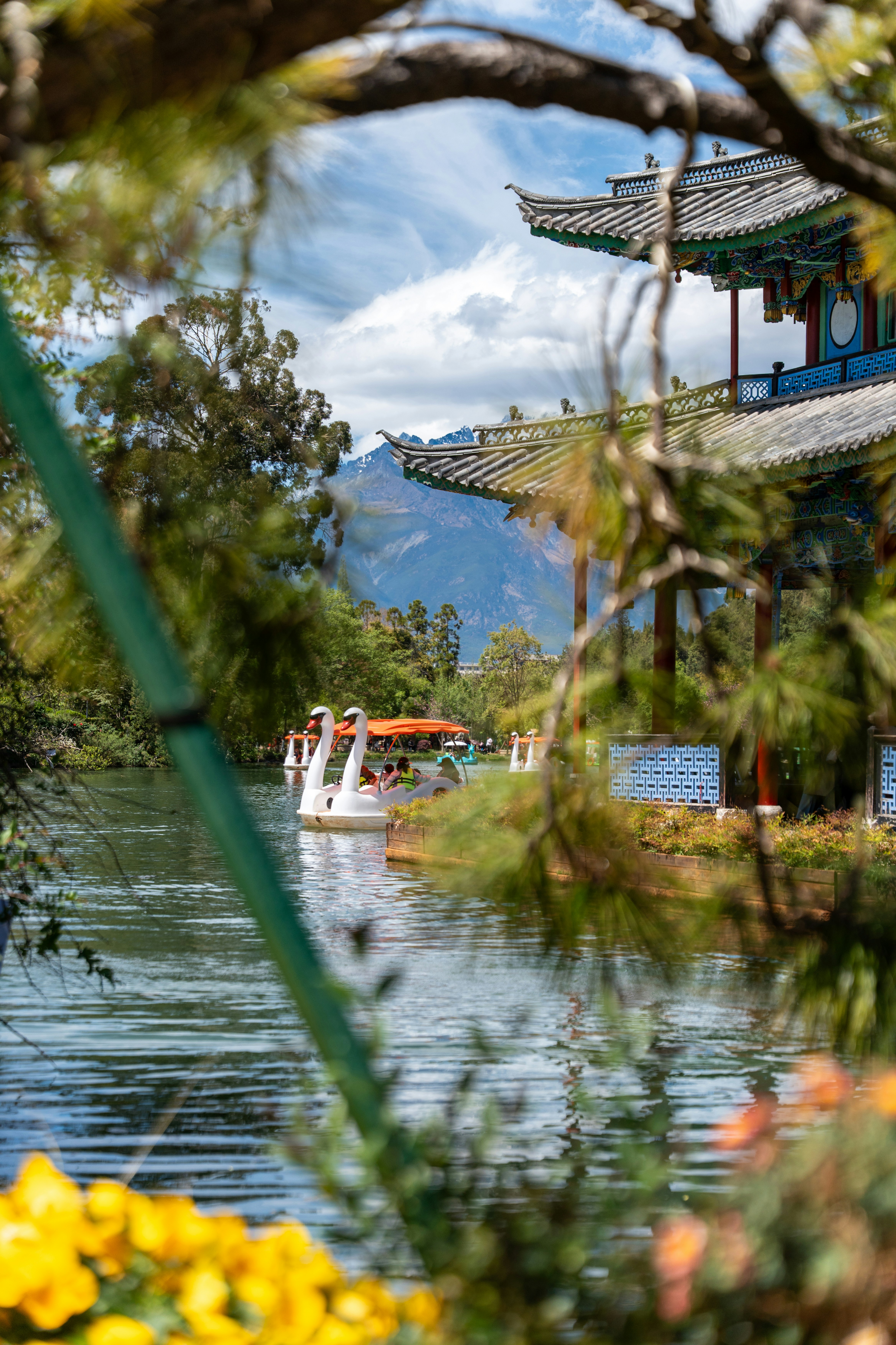 Hidden Pagoda by the Lakeside Swans