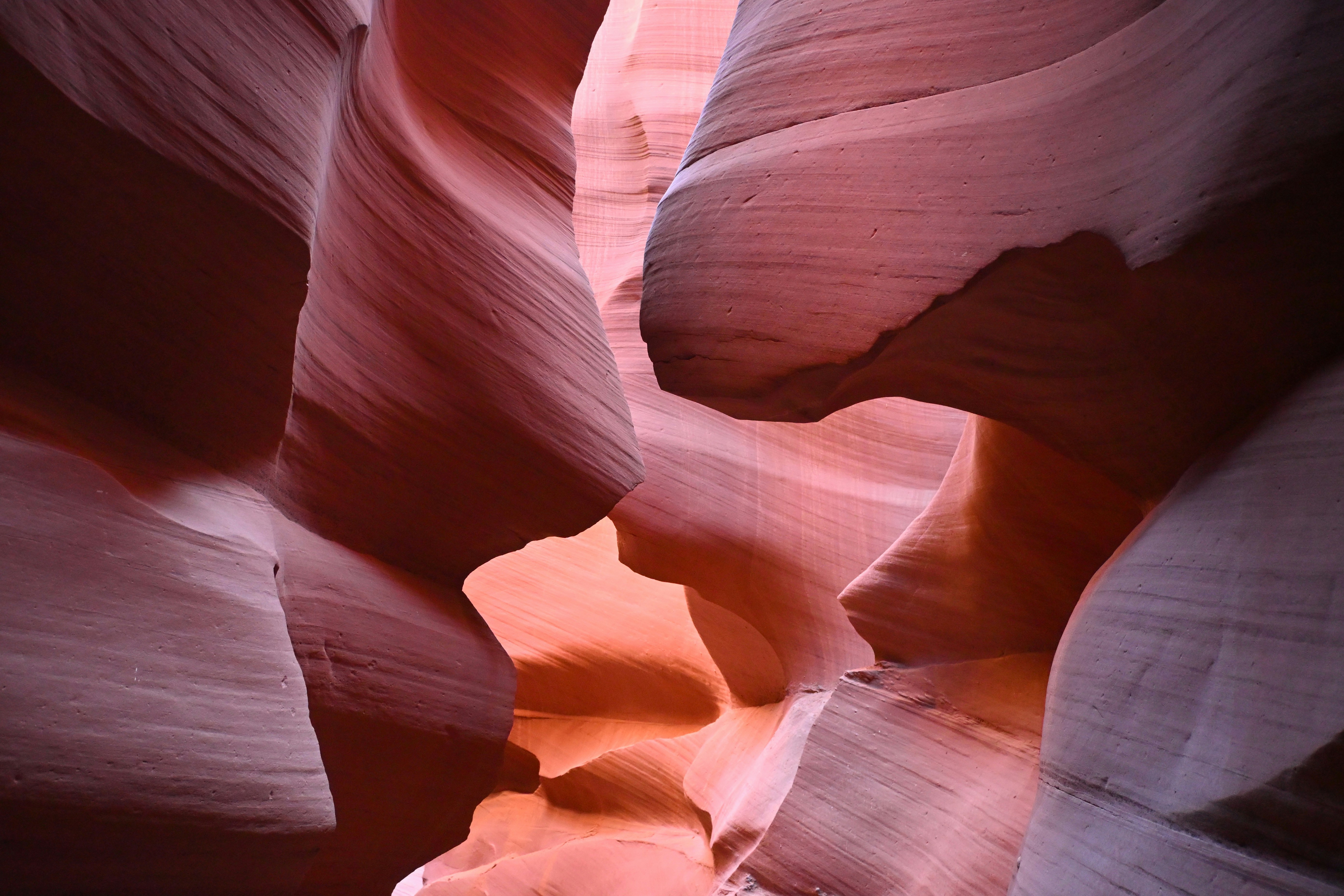 Echoes of Sandlight: Curved Canyon in Soft Flame Hues
