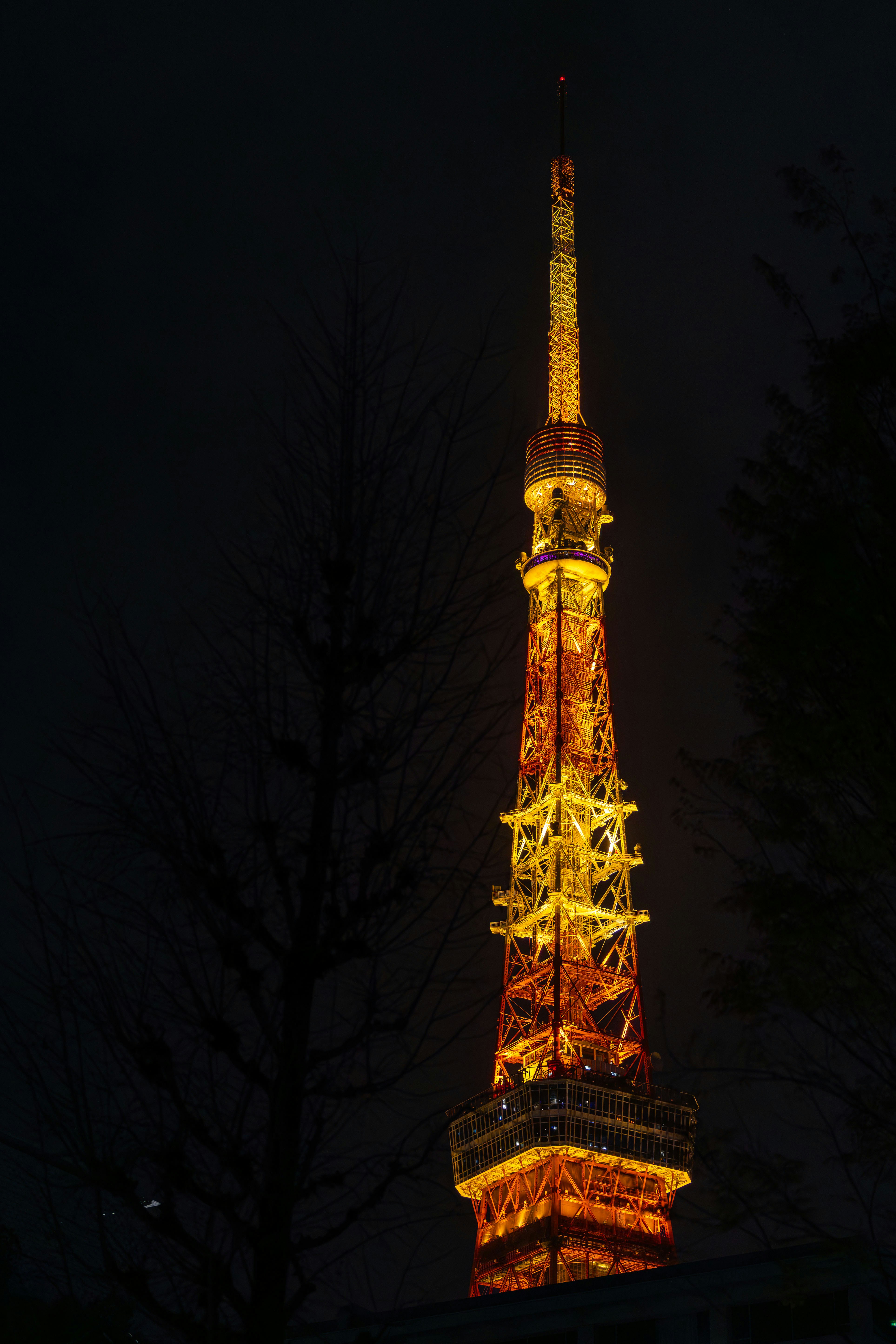Tokyo Tower Illuminated: Nighttime Ironwork in Warm Amber