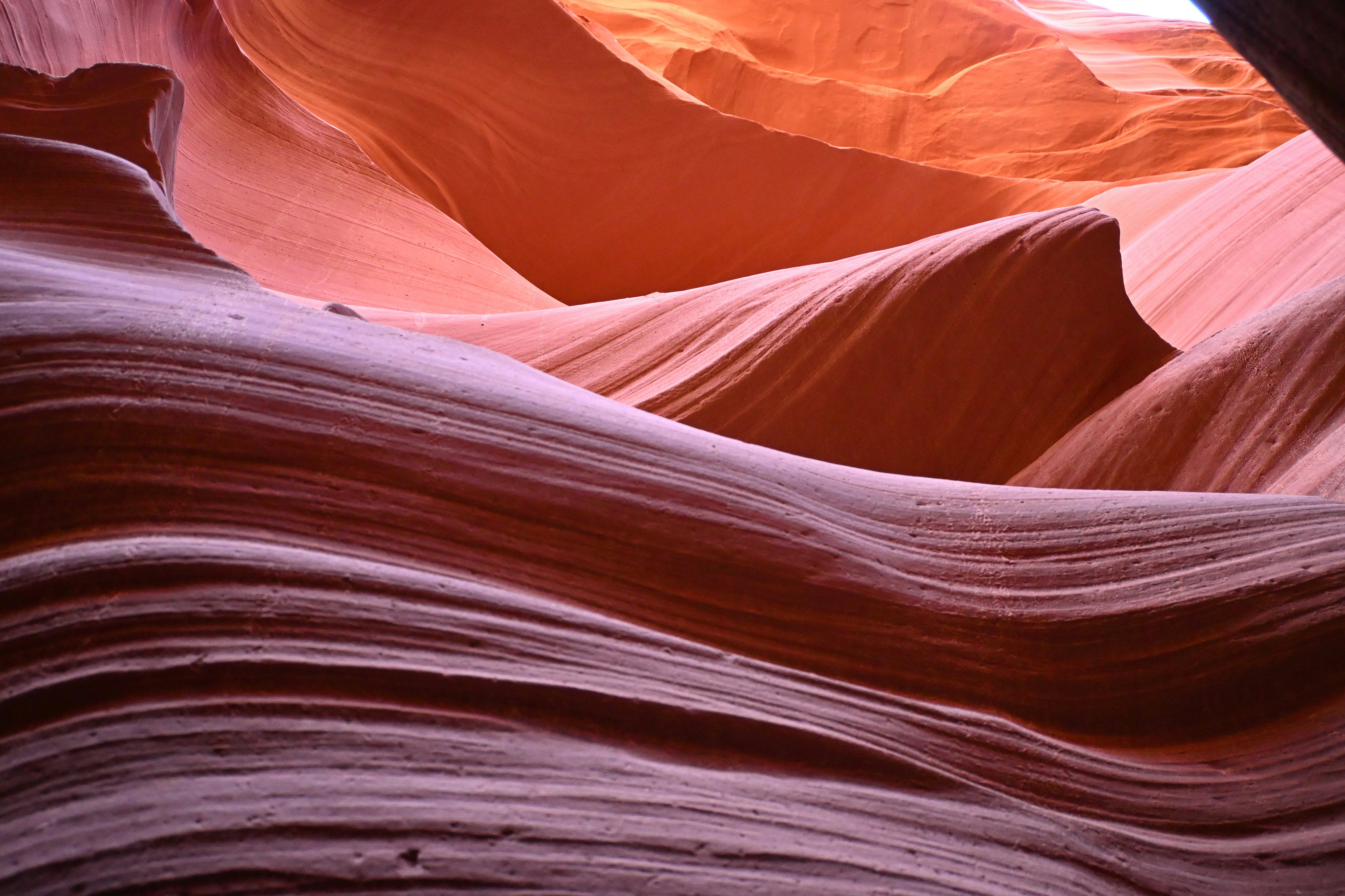 Waves of Color: Curved Carved Canyon Light