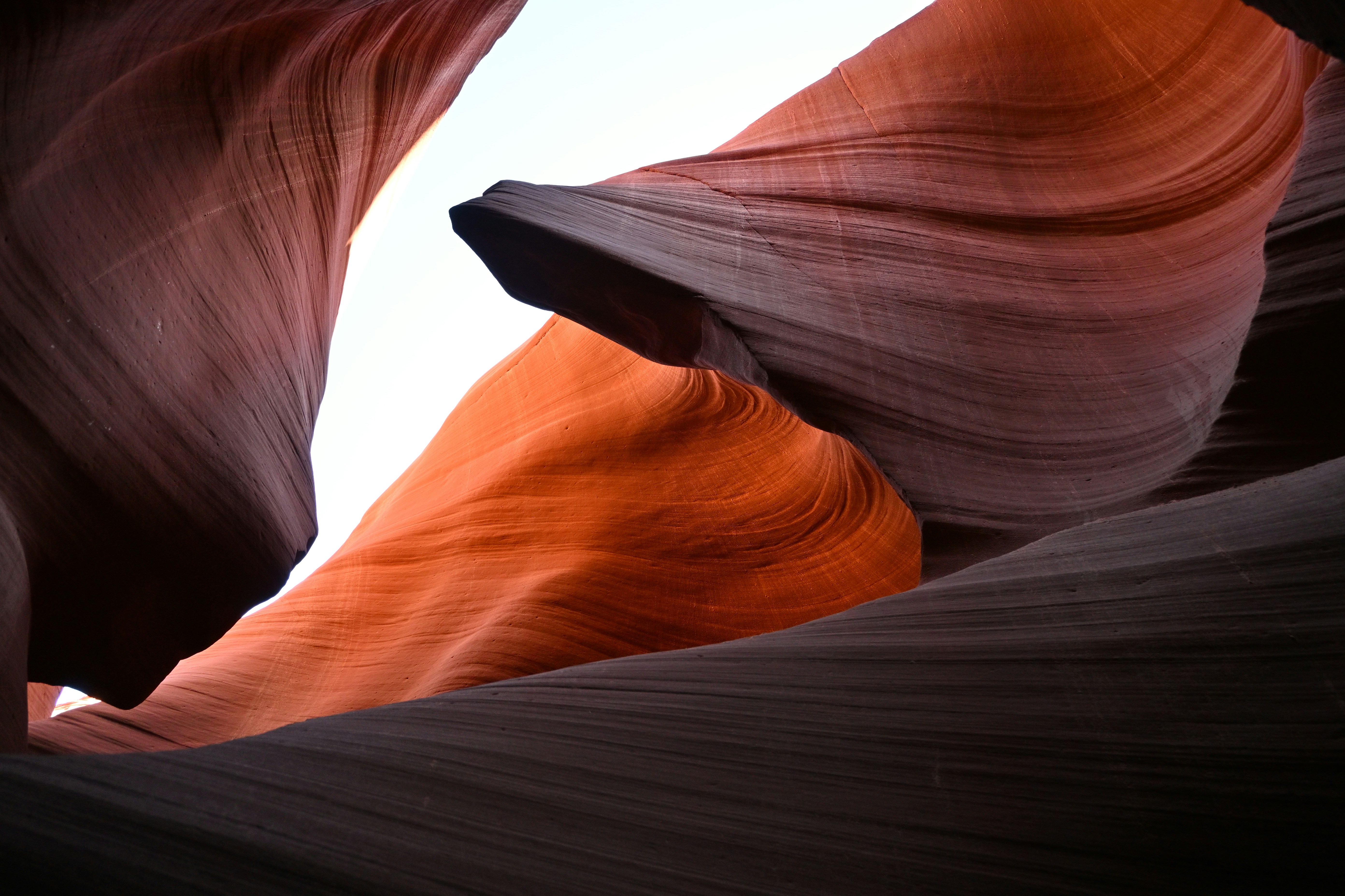 Emerald Glow in a Canyon Corridor