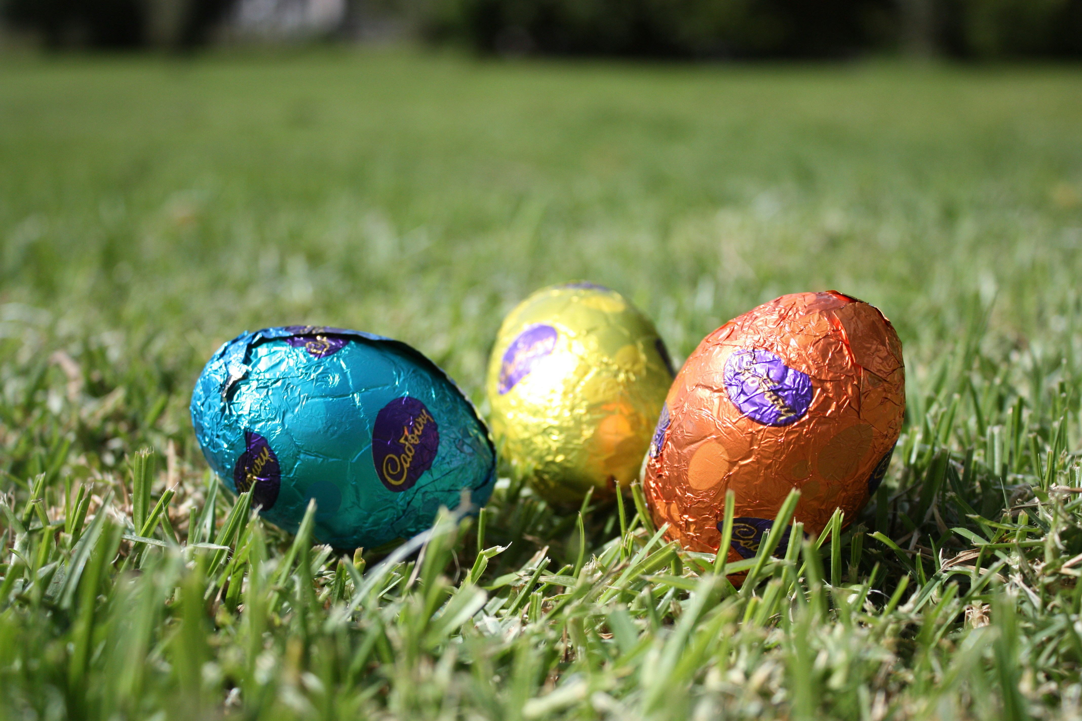 Three Wrapped Eggs Resting on Sunlit Grass