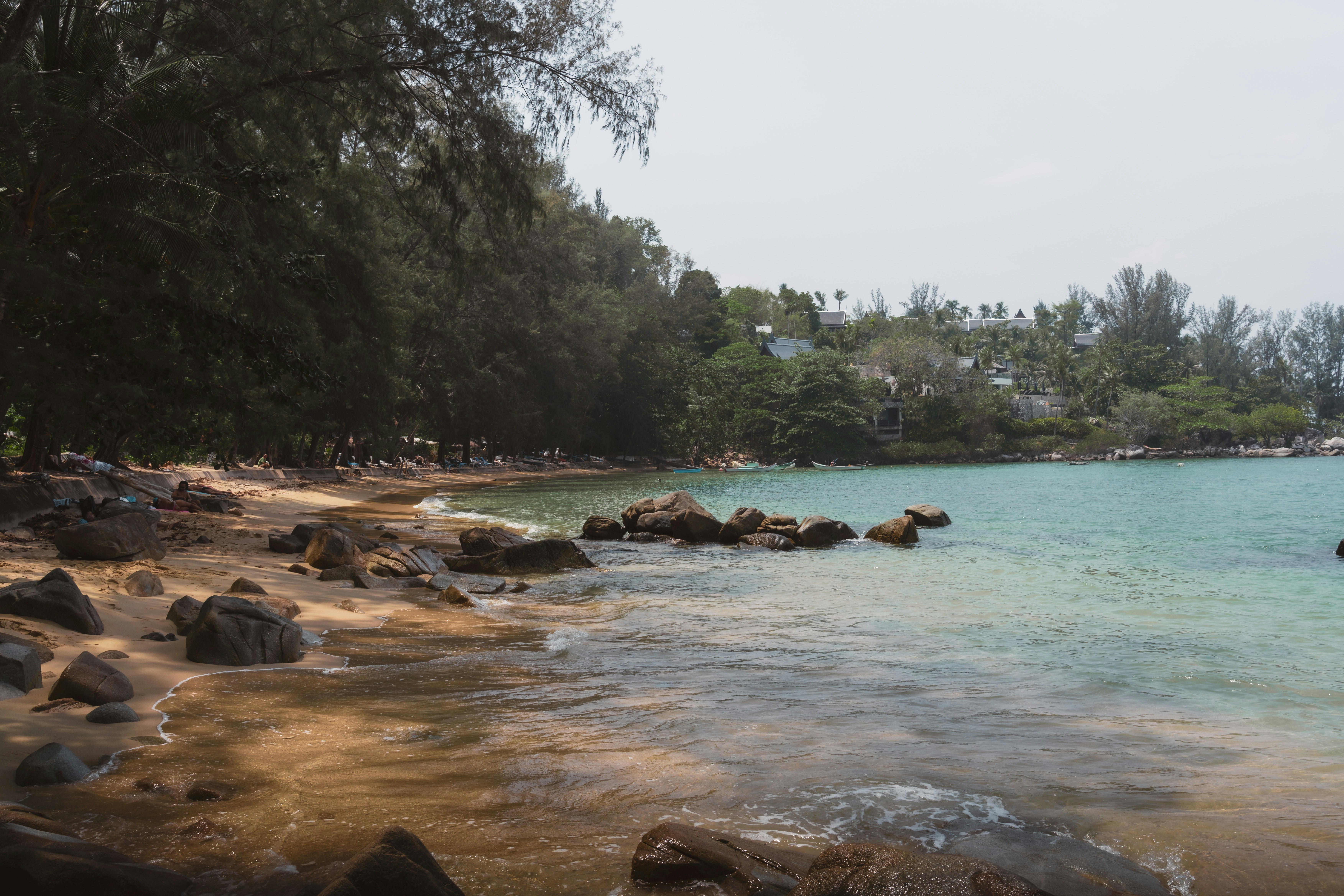 Rugged shoreline to turquoise water under a canopy of pines