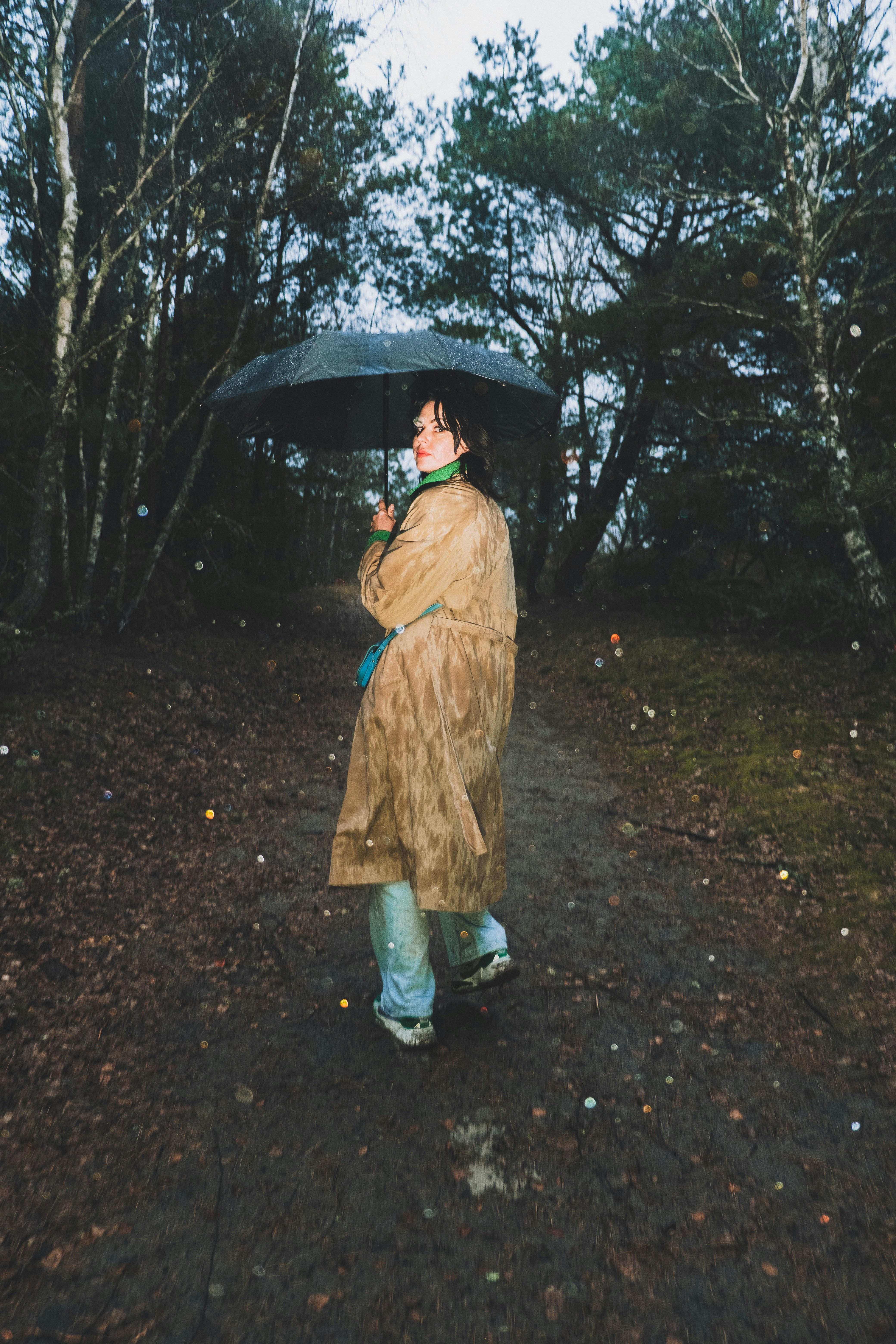 Umbrellaed Night Walk Through Rain-Flecked Pines