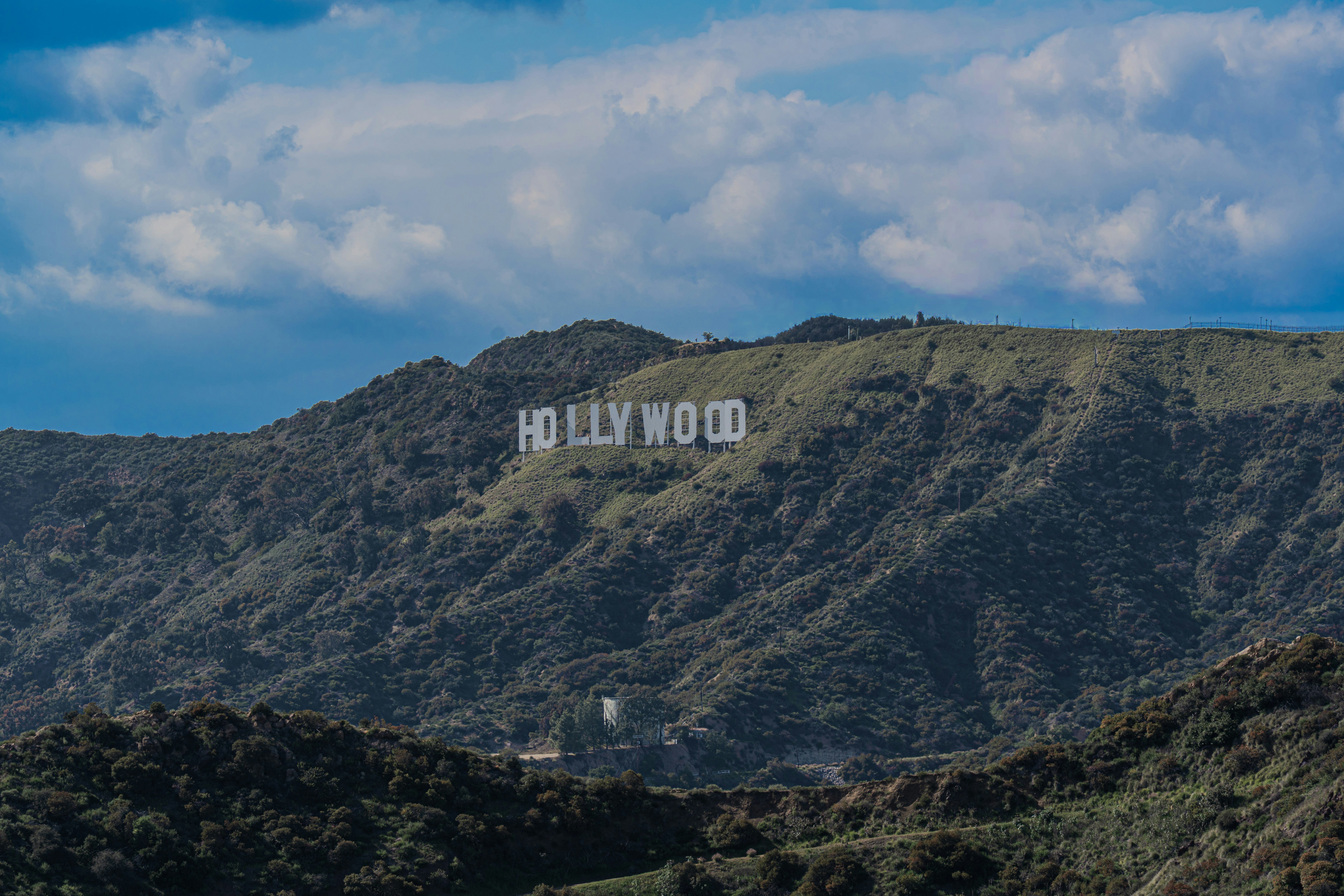 Hollywood Hills Silhouette: The Icon on a Sunlit Ridge