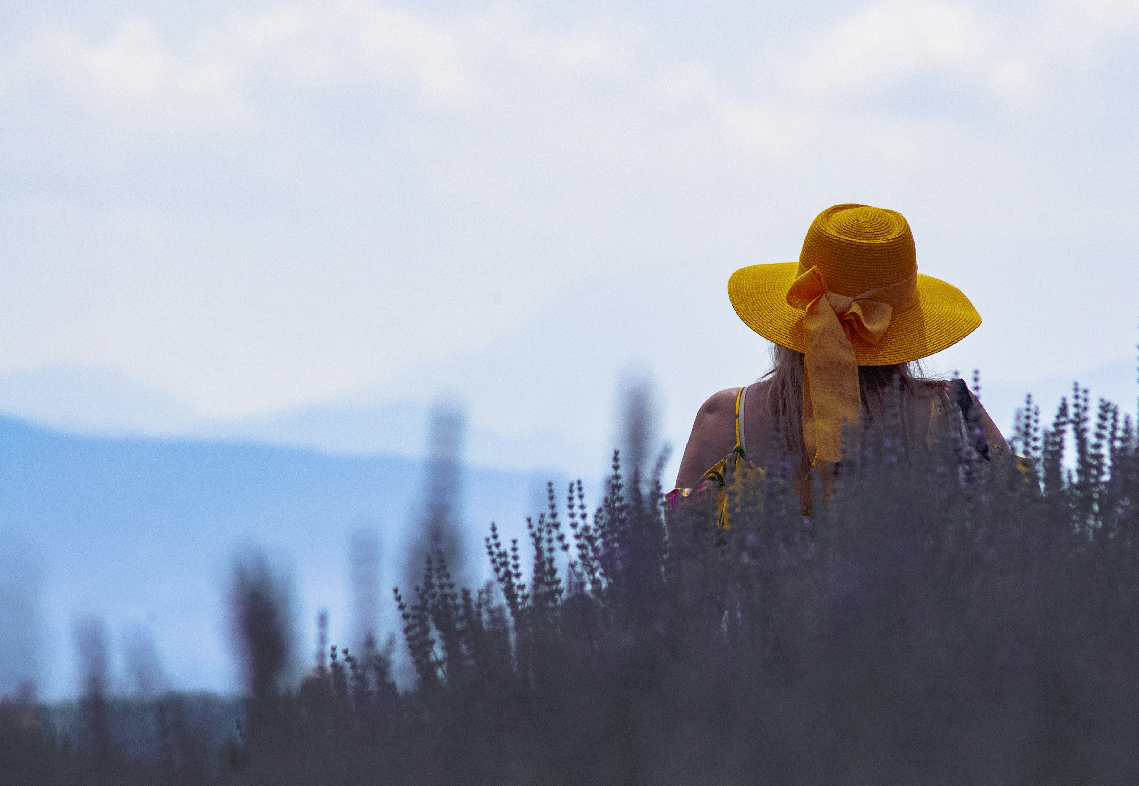 Yellow Hat in the Field: A Quiet Ridgeline Portrait