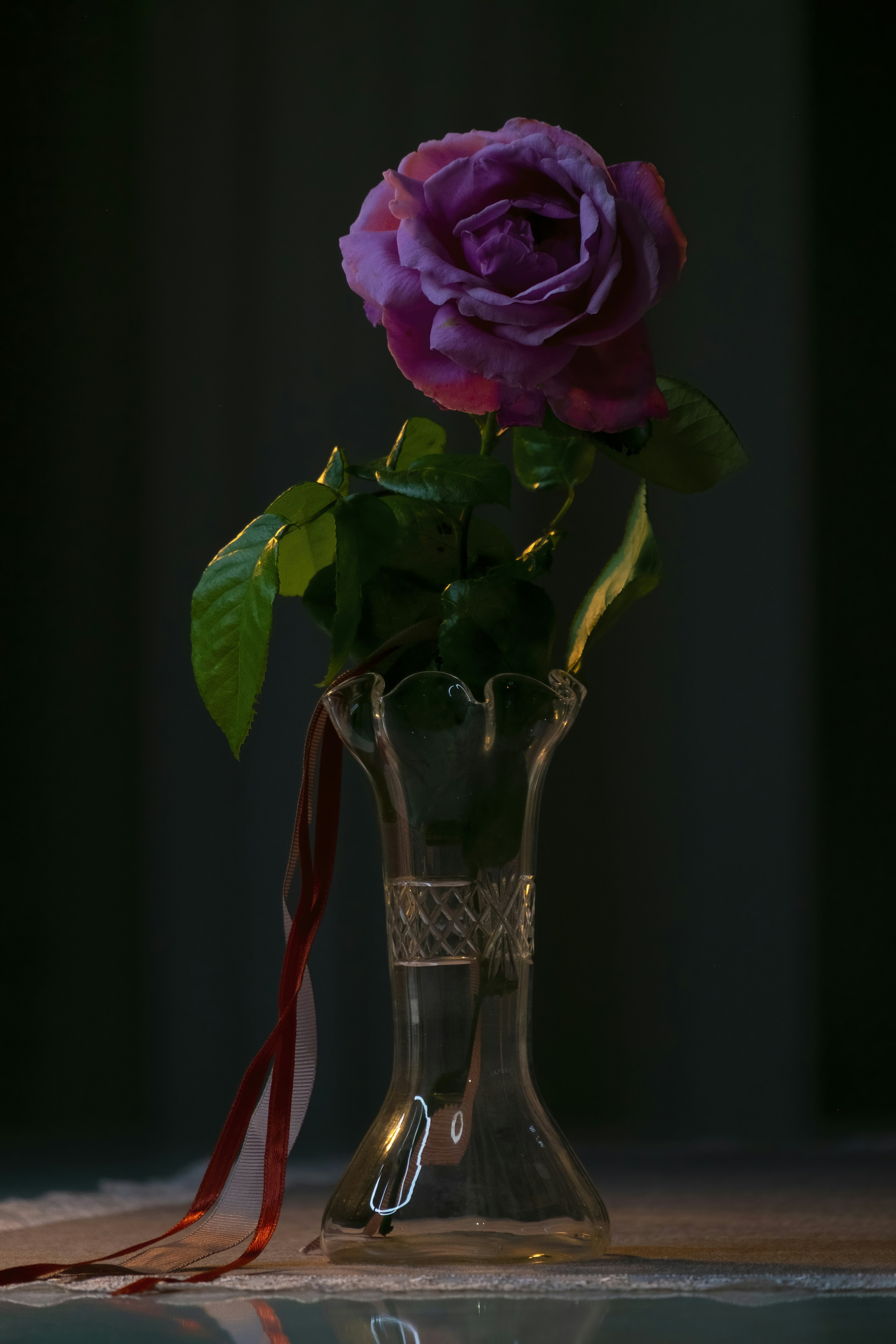 紫 rose in a crystal vase, spotlighted against a dark backdrop