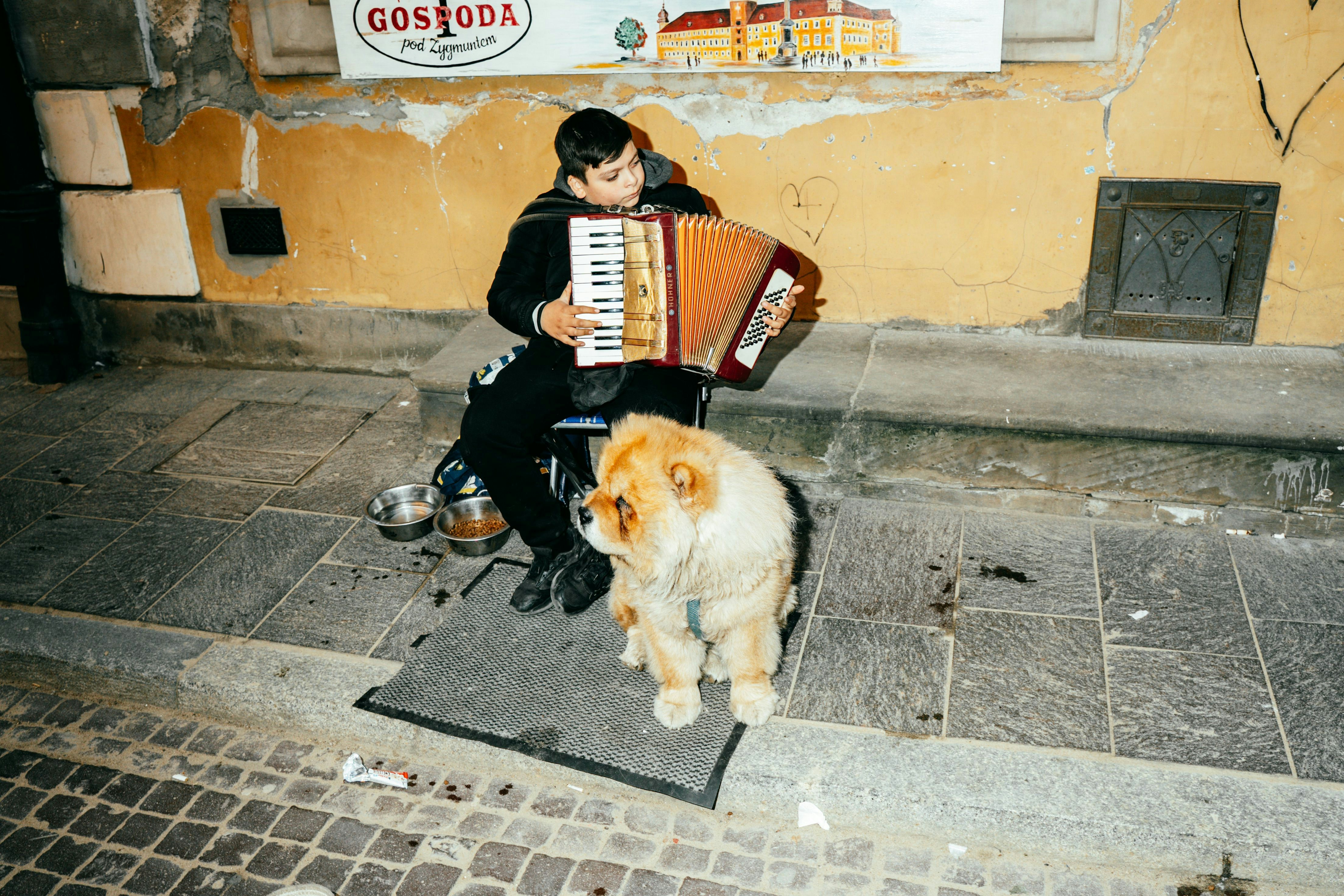 Boy with accordion and fluffy companion on a sunlit street corner