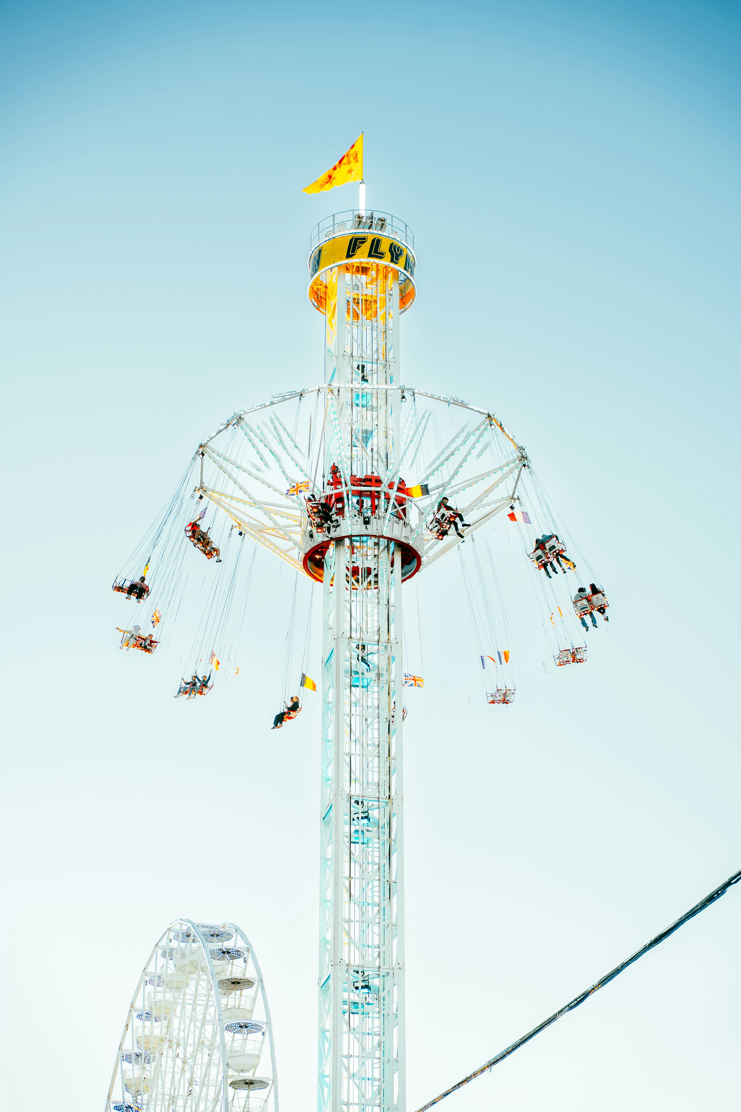 Vertical Carousel: A Swan-Eyed Tower of Motion