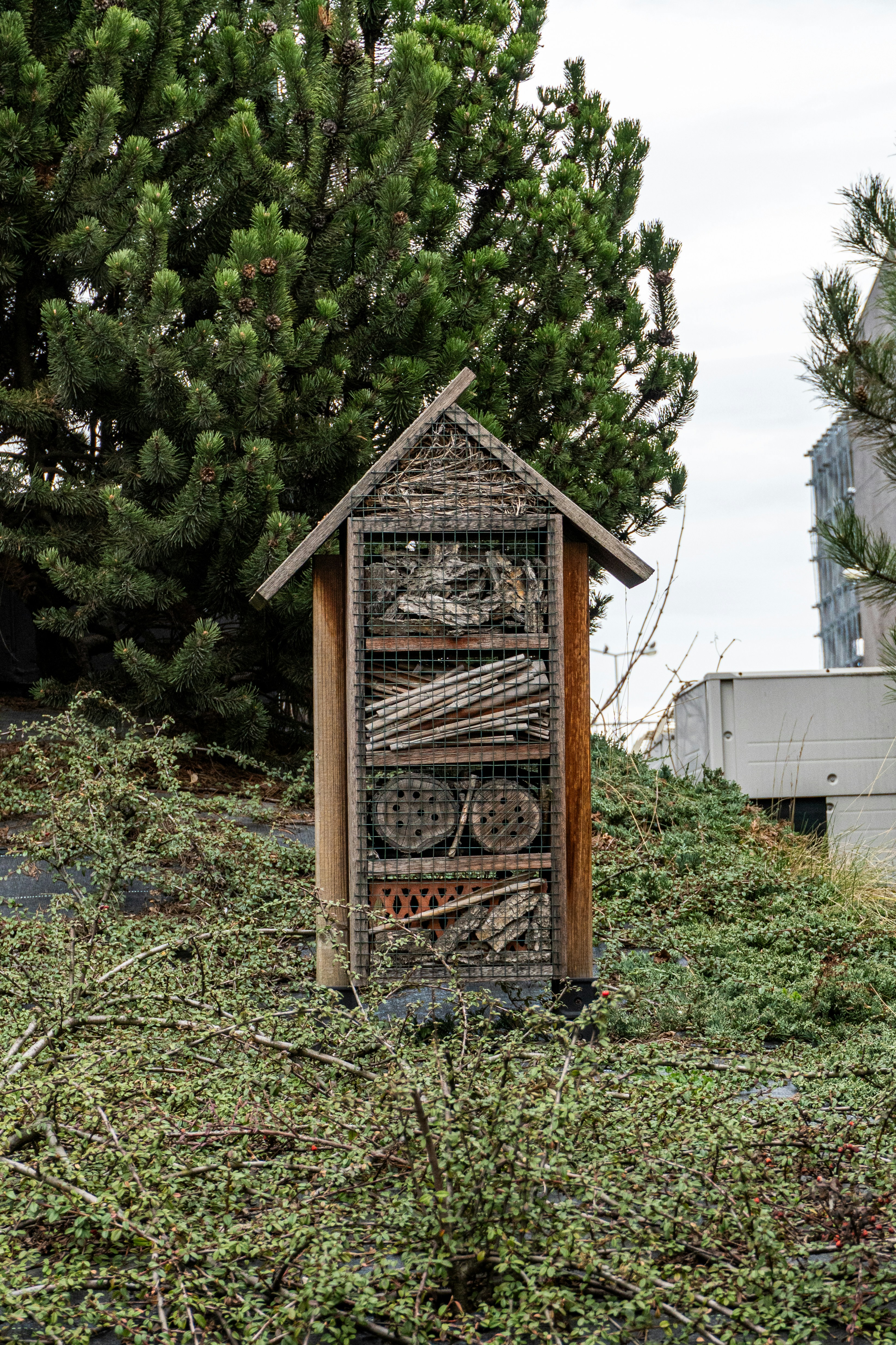 Wooden Insect Habitat Standing Guard Among Greenery