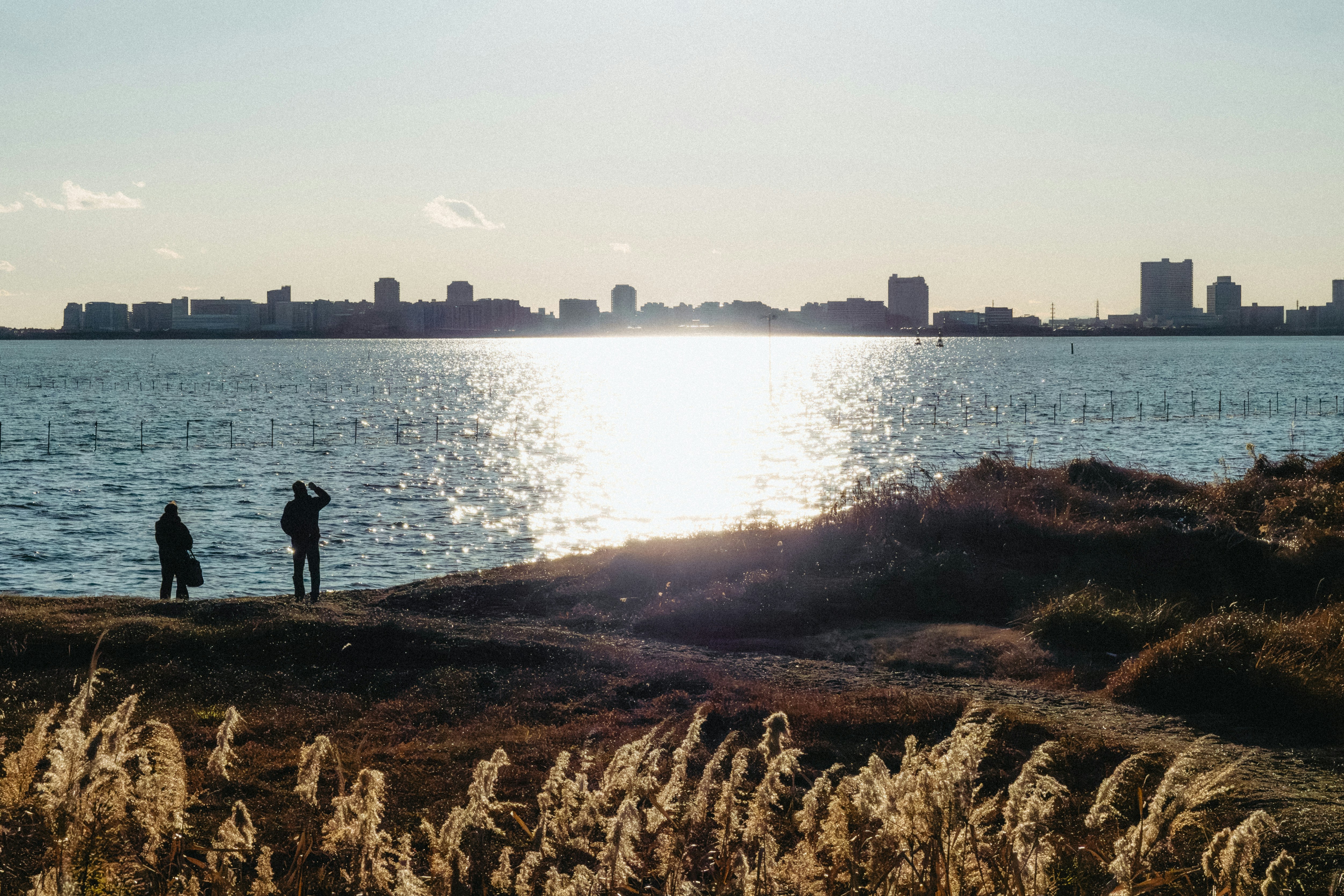 Sunlit Water and Silhouettes: A Quiet Coastal Moment