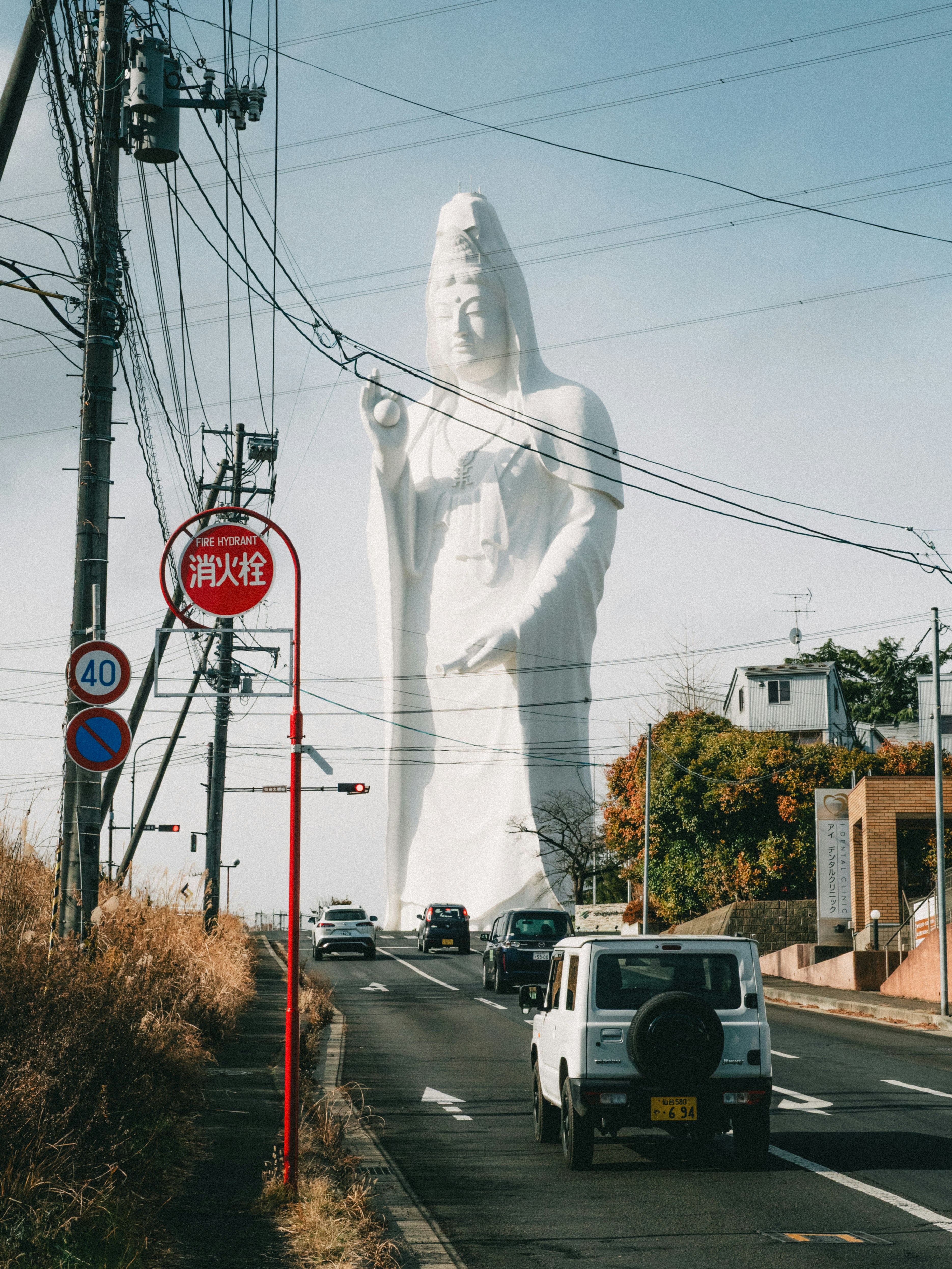 Giant Guardian on the Horizon: A Road to the Shrine