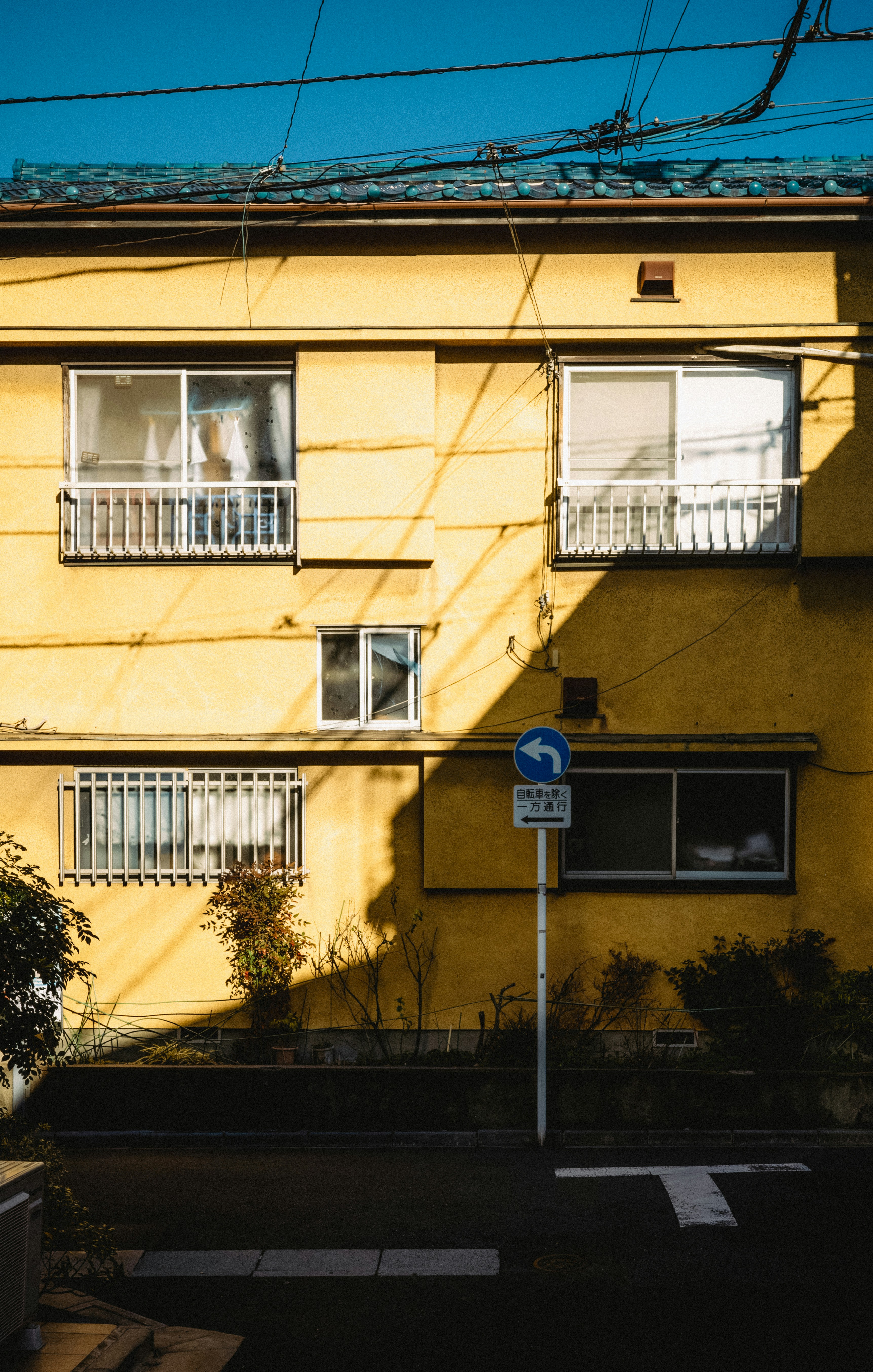 Sunlit Yellow Flat with Urban Shadows