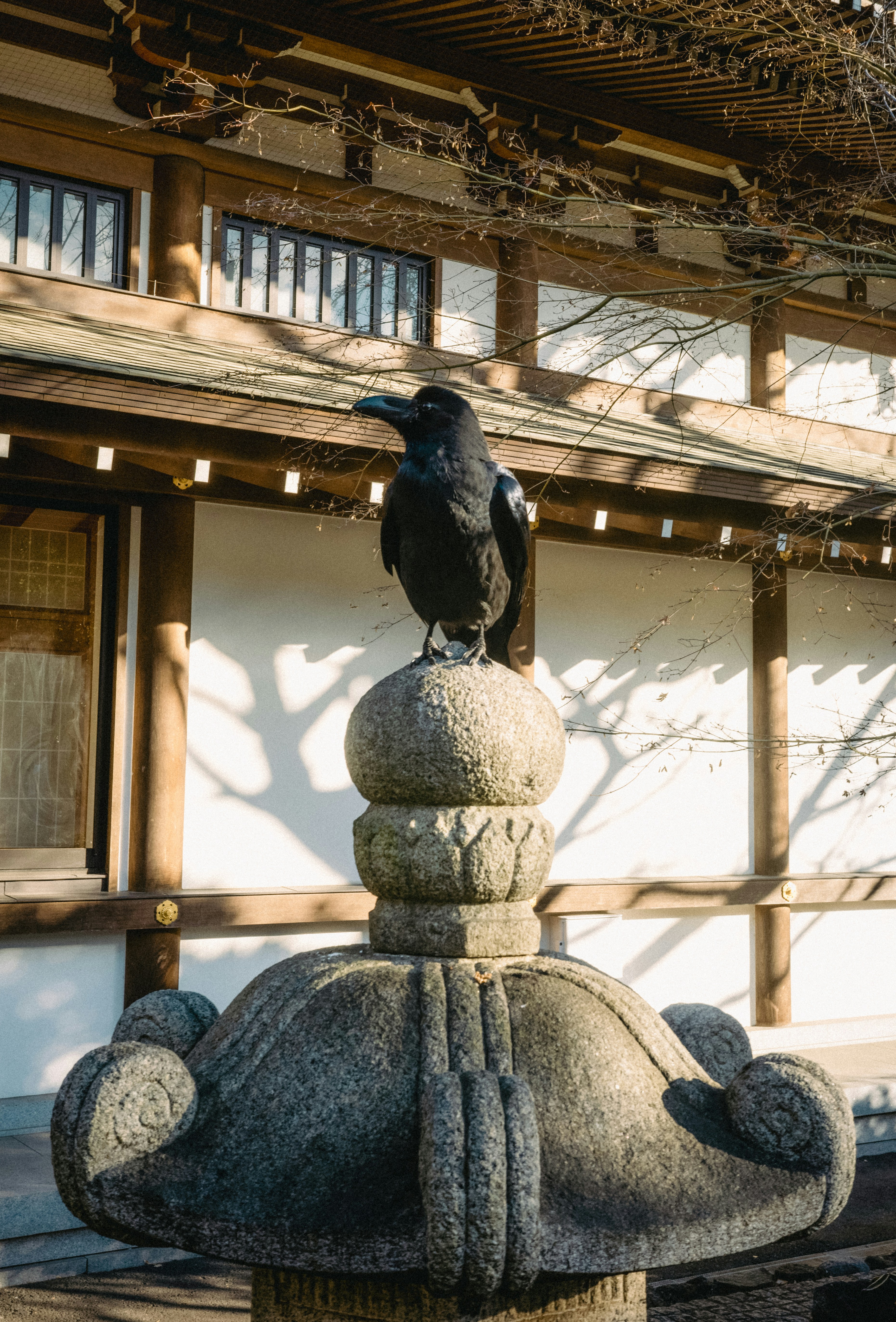 Raven Sentinel perched atop a carved stone finial
